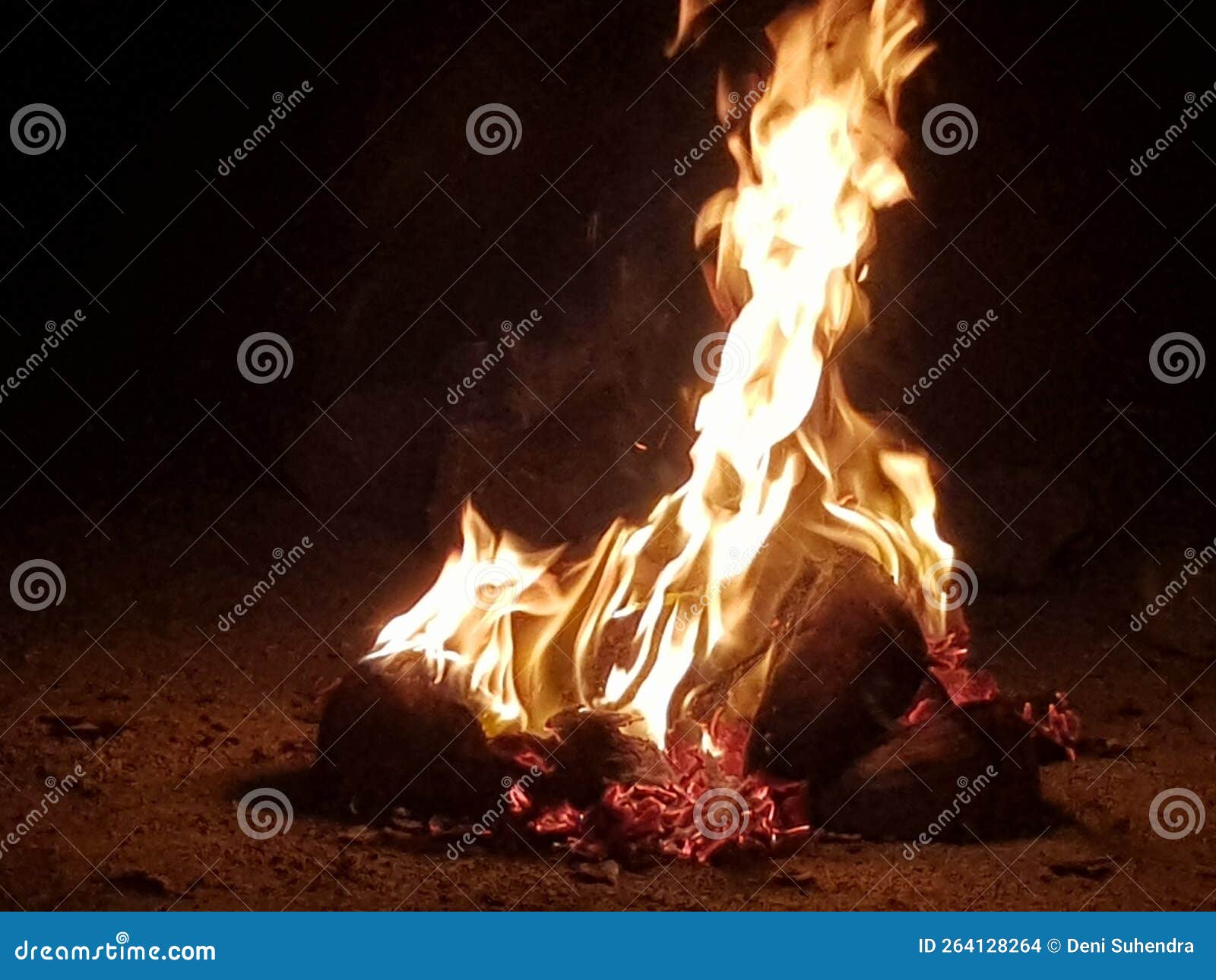 Burning fire at night stock photo. Image of quail, geyser - 264128264