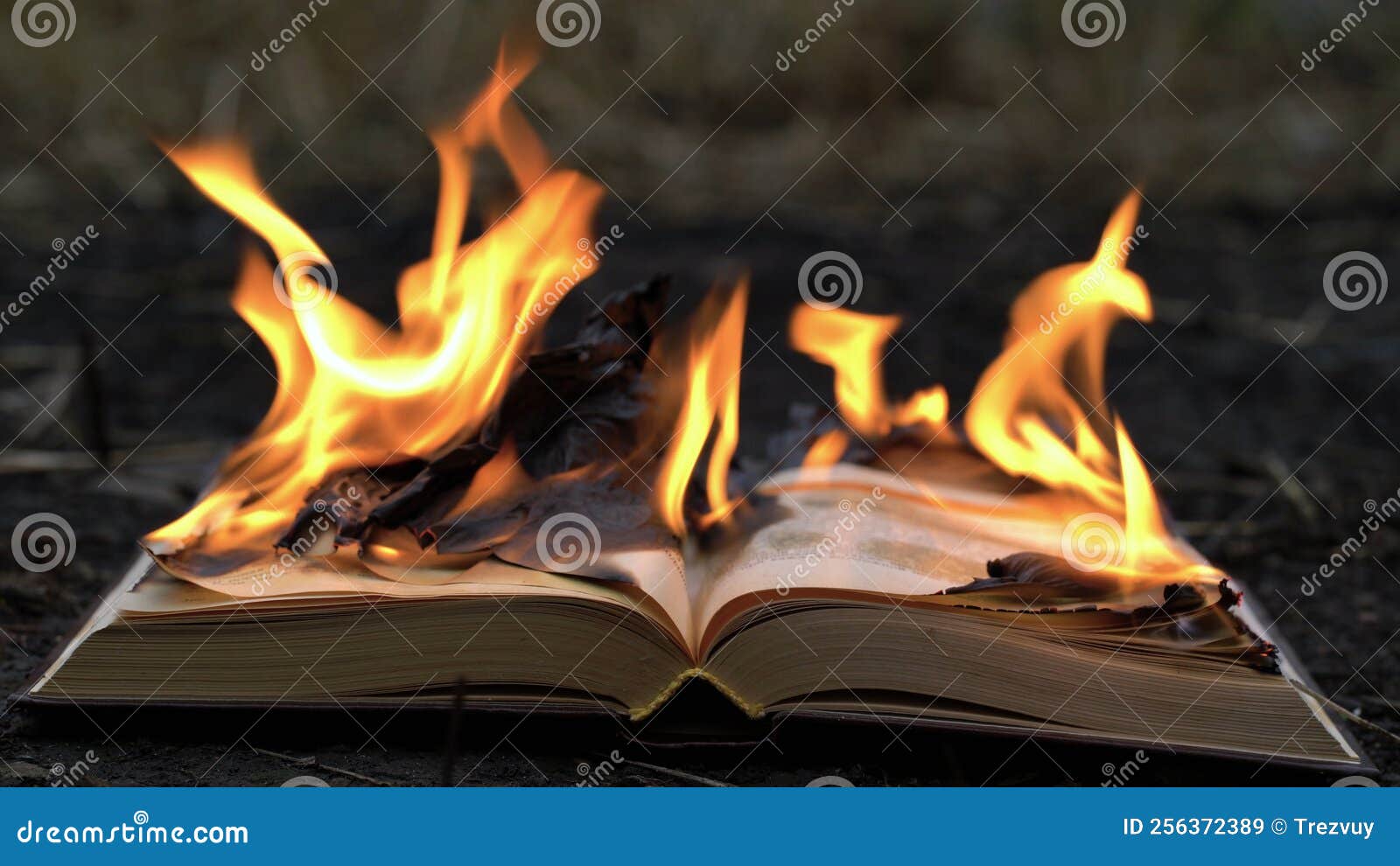 Burning in Fire Old Open Book on the Ground Stock Image - Image of fire ...