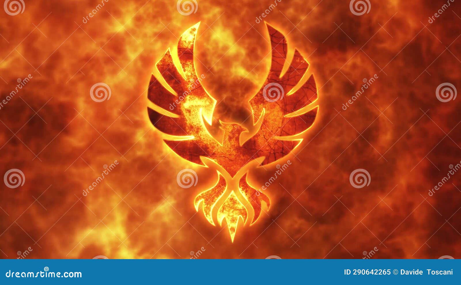 Burning Fire Phoenix Loop - Intro Logo Wallpaper Background Stock Video ...