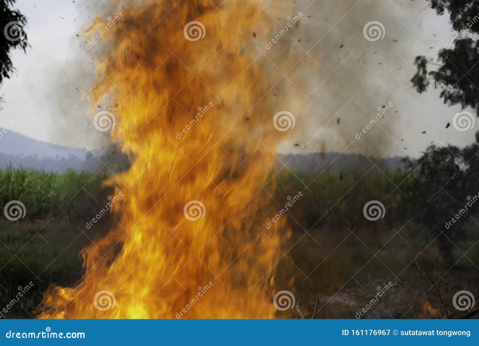 A Burning Fire on a Pile of Firewood Stock Image - Image of power, warm ...