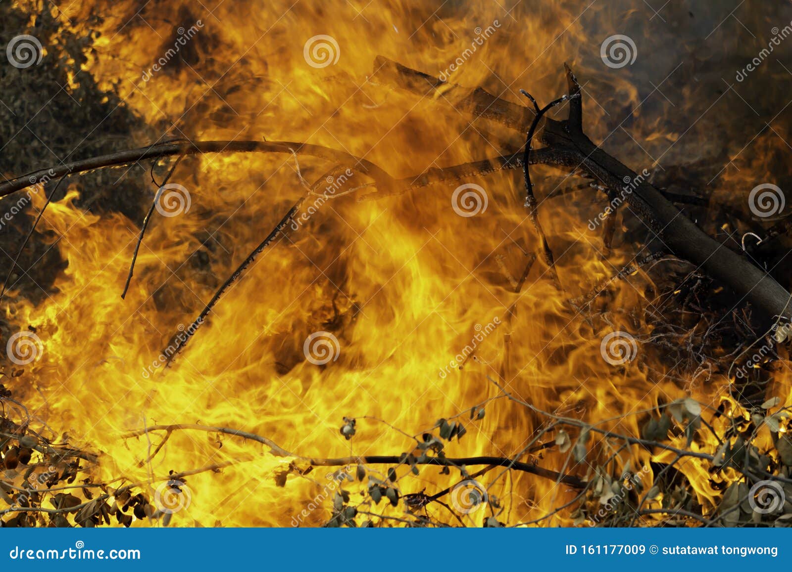 A Burning Fire on a Pile of Firewood Stock Image - Image of closeup ...