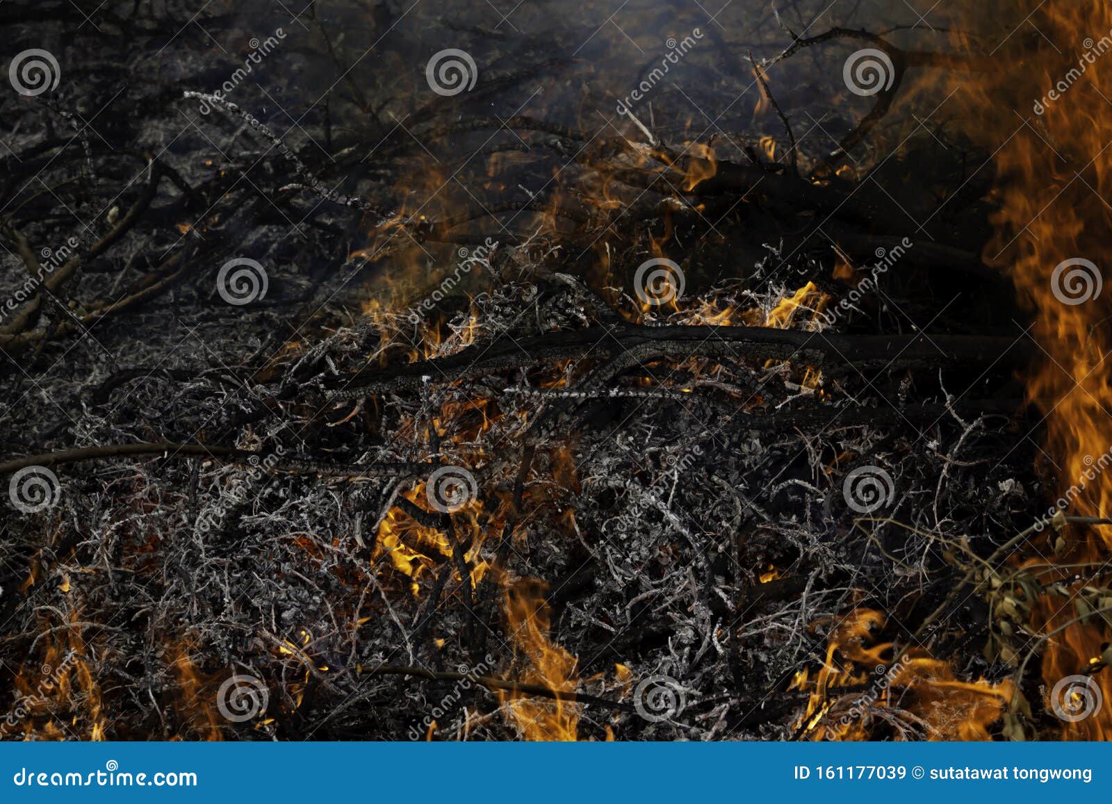 A Burning Fire on a Pile of Firewood Stock Image - Image of energy ...