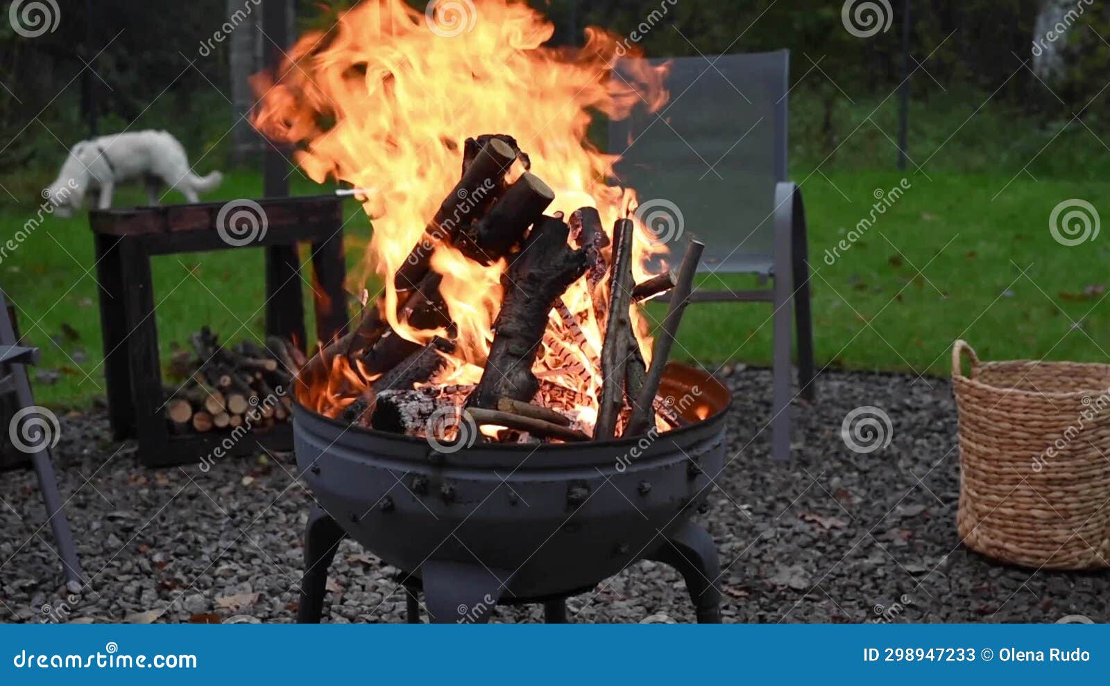 Burning Fire Pit. Happy Weekend Campfire Activity Stock Video - Video ...