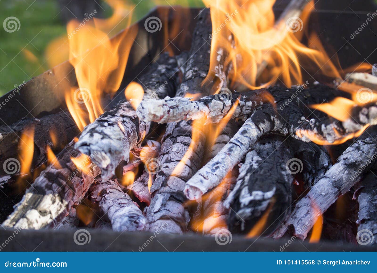 Burning Fire for Roasting Meat Stock Photo - Image of flame, fire ...