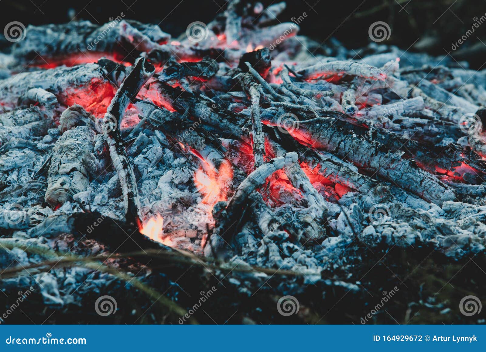 Burning Fire with Small Flames Stock Photo - Image of campfire ...