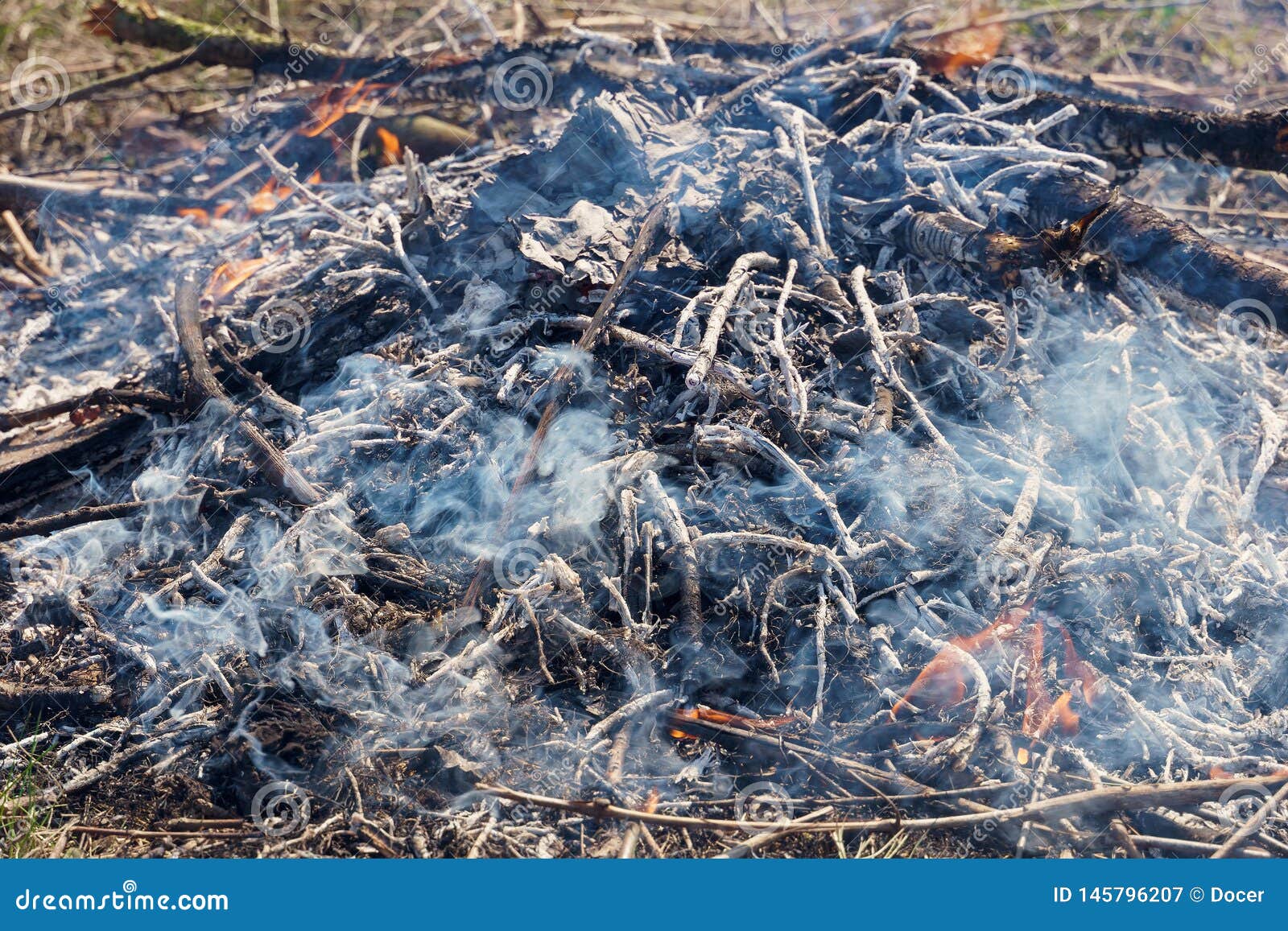 Burning fire with smoke stock image. Image of heap, branch - 145796207