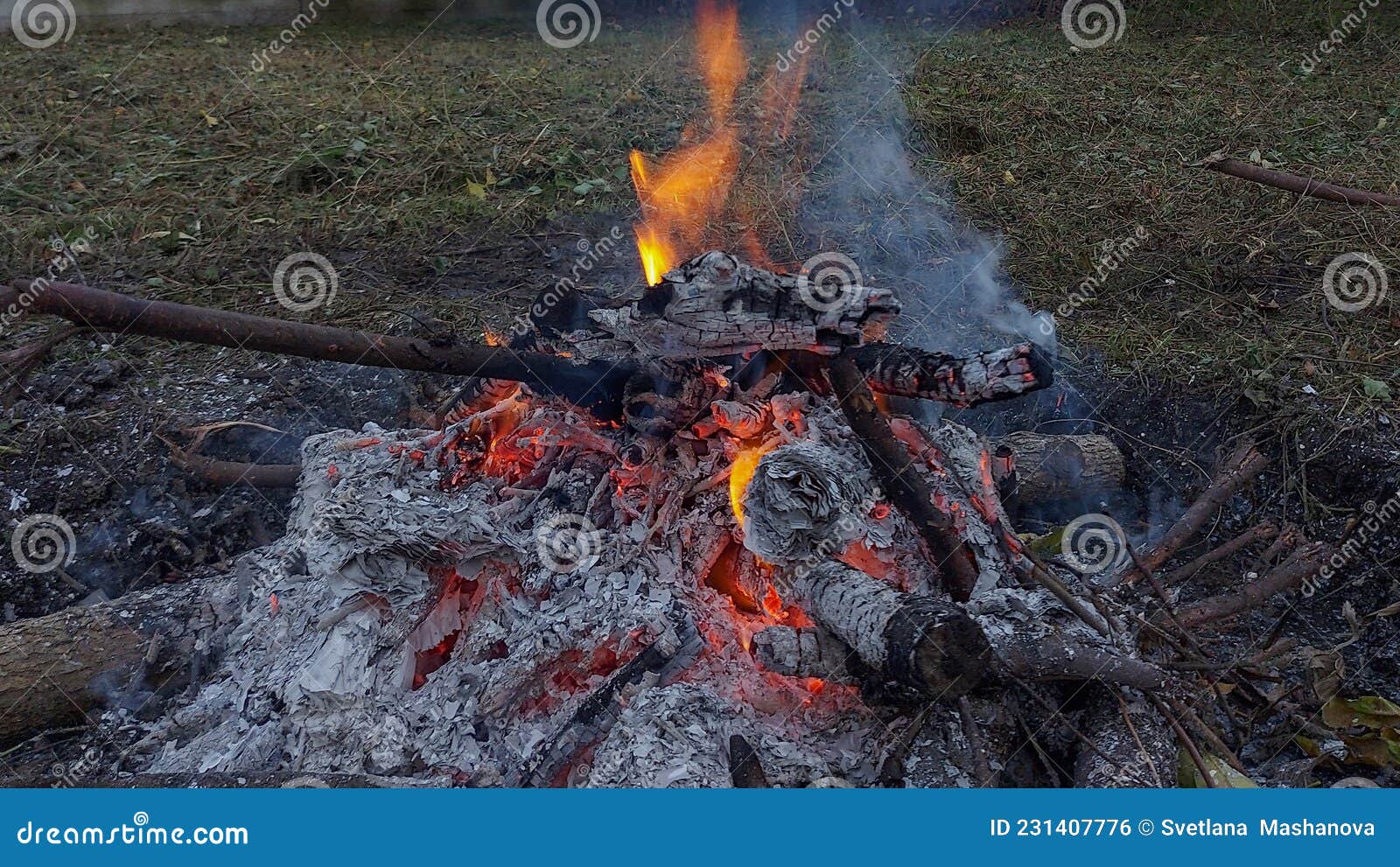 Burning Fire, Smoldering Coal. the Coals are Hot and Glowing Stock ...