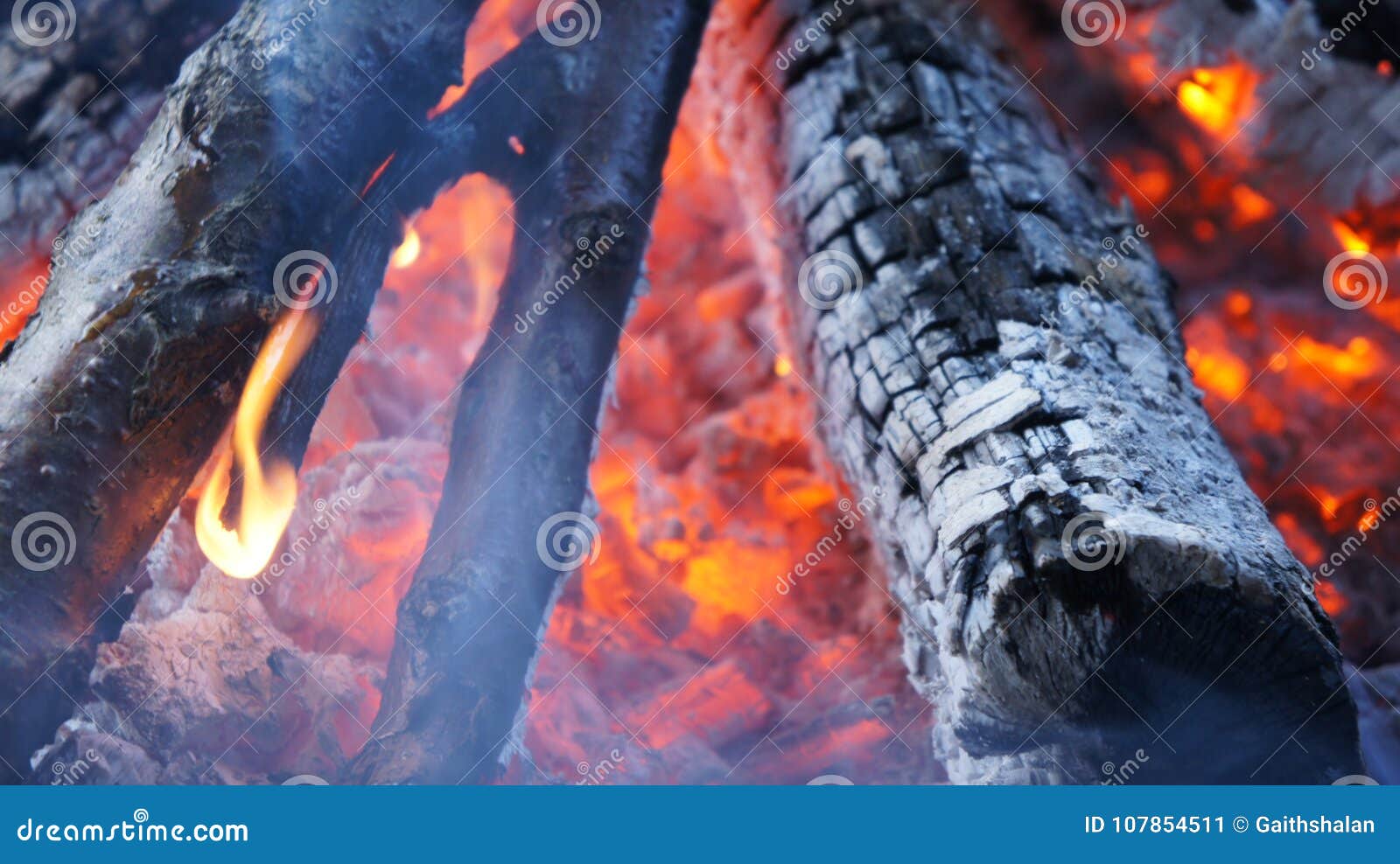 Burning Fire Wood and Ember. Stock Image - Image of flames, concept ...