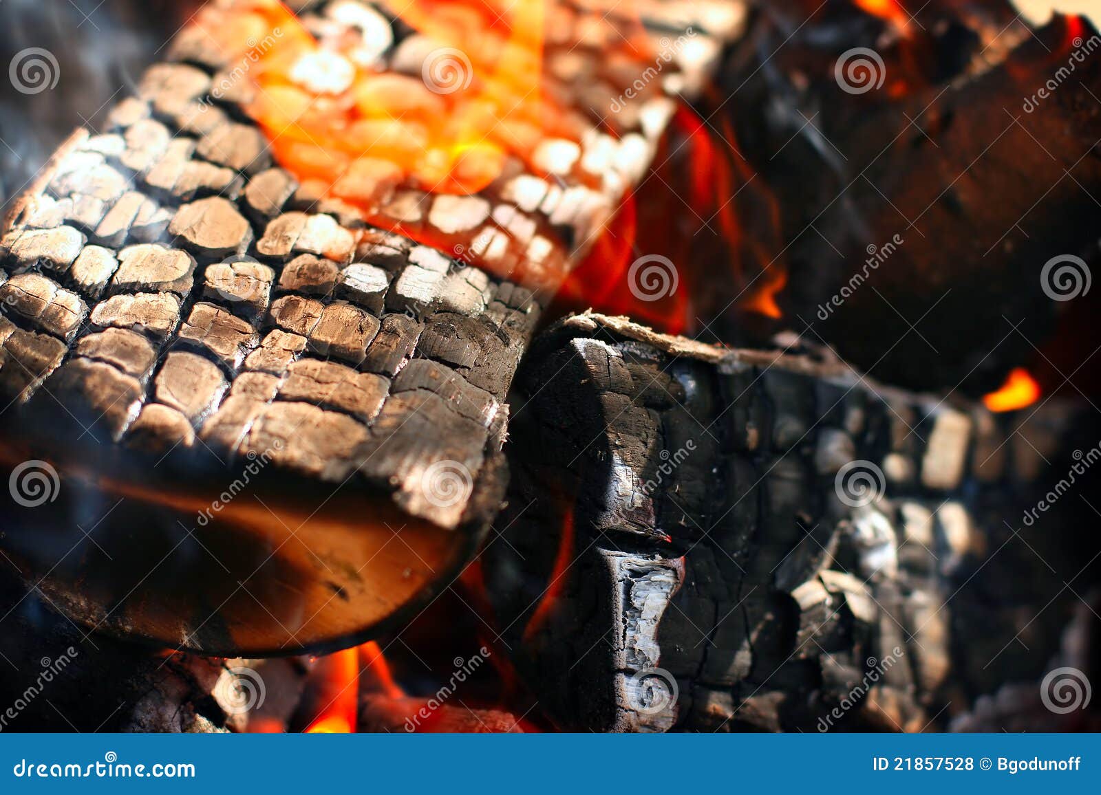 Burning firewood stock photo. Image of campfire, ember - 21857528
