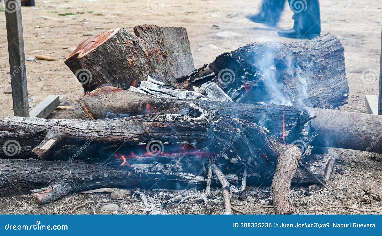 Burning Firewood. Barbecue Logs. the Preparation of Fire for the BBQ in ...