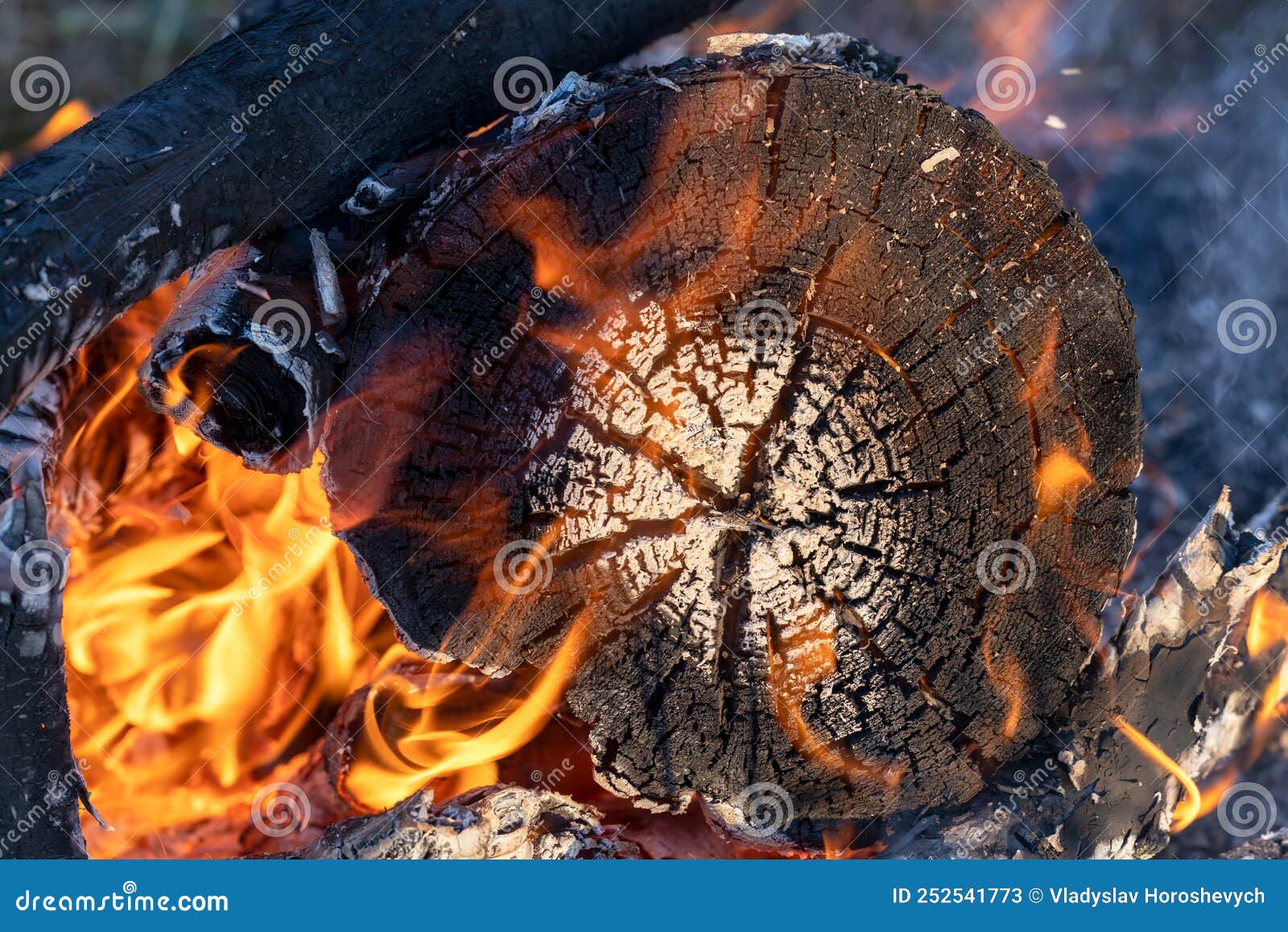 Burning Firewood, Burnt Stump on Fire, Beautiful Burnt Wood Pattern ...