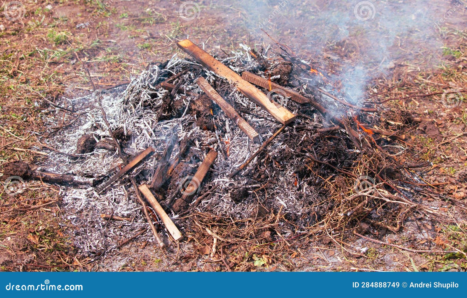 Burning Firewood in a Campfire, Close-up Stock Image - Image of orange ...