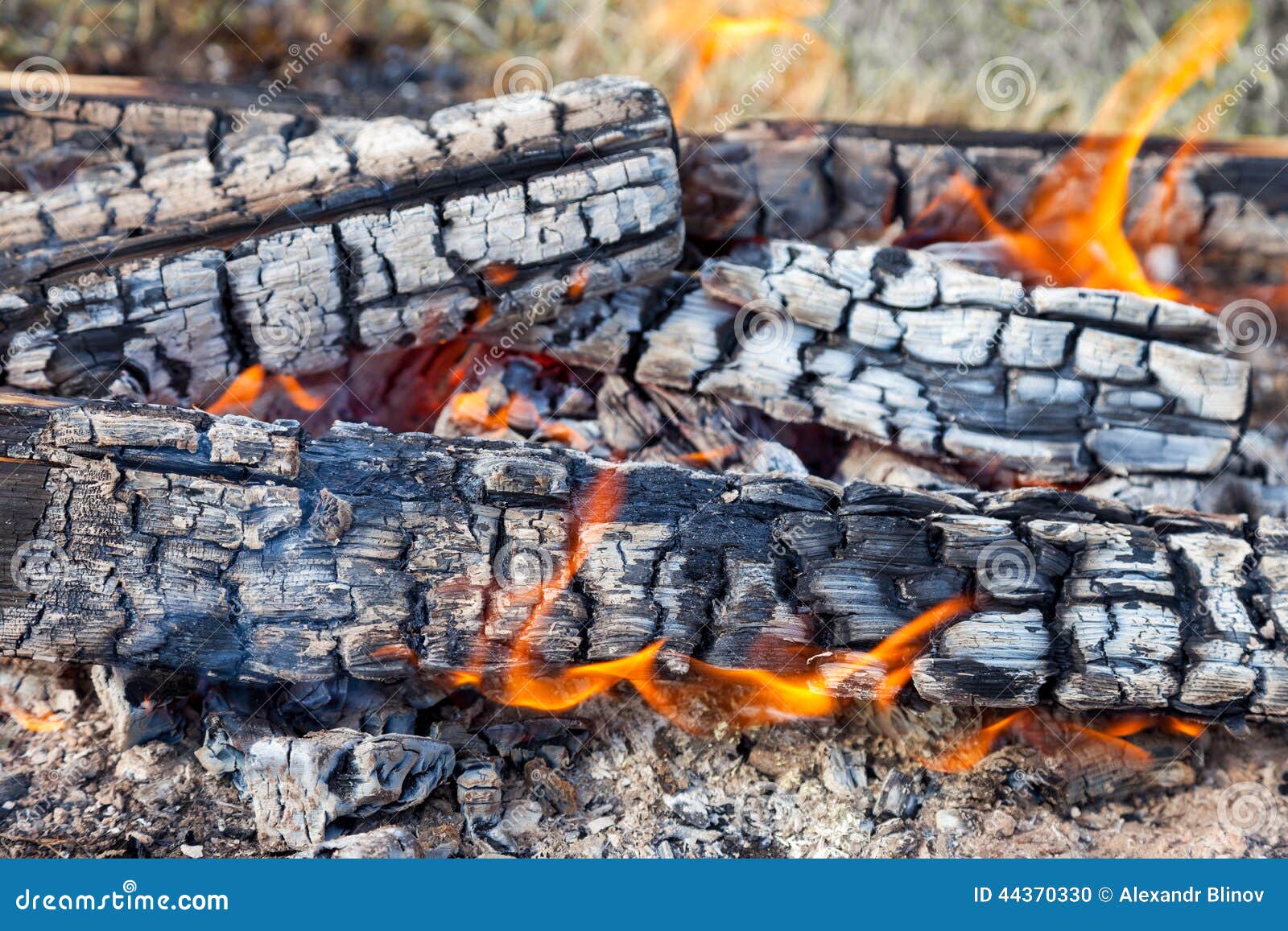 Burning Firewood in Campfire Stock Photo - Image of conservation, group ...
