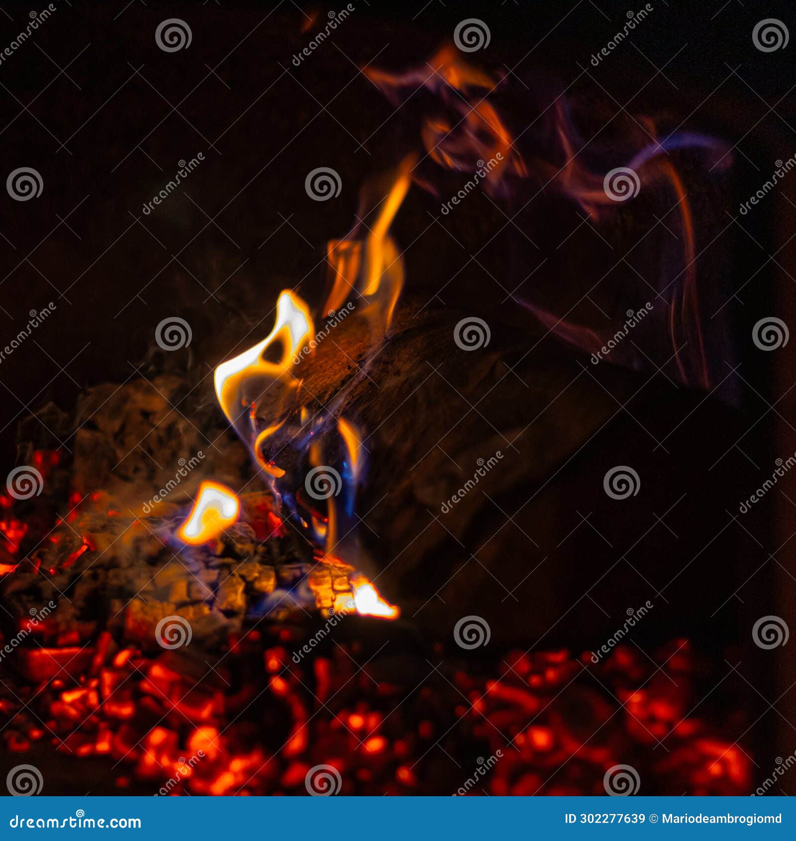 With Flames Flickering In The Background This Bold And Daring Chicken ...
