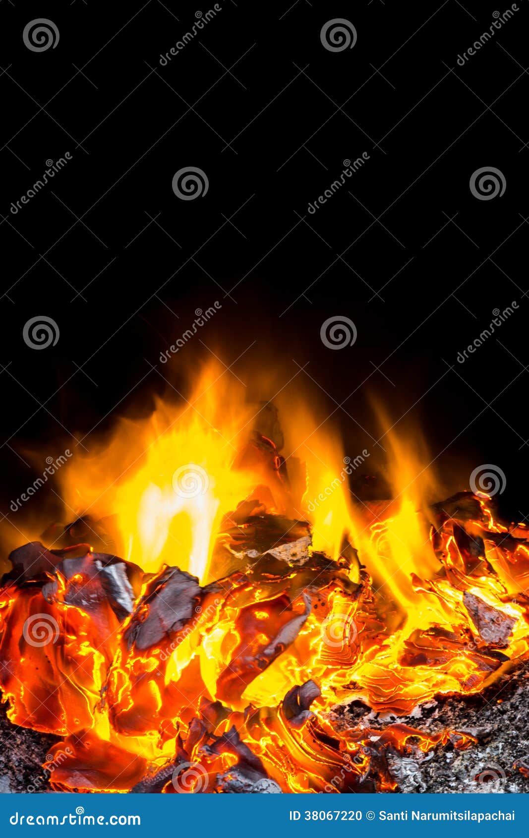 Burning flame stock photo. Image of papers, ashes, angry - 38067220