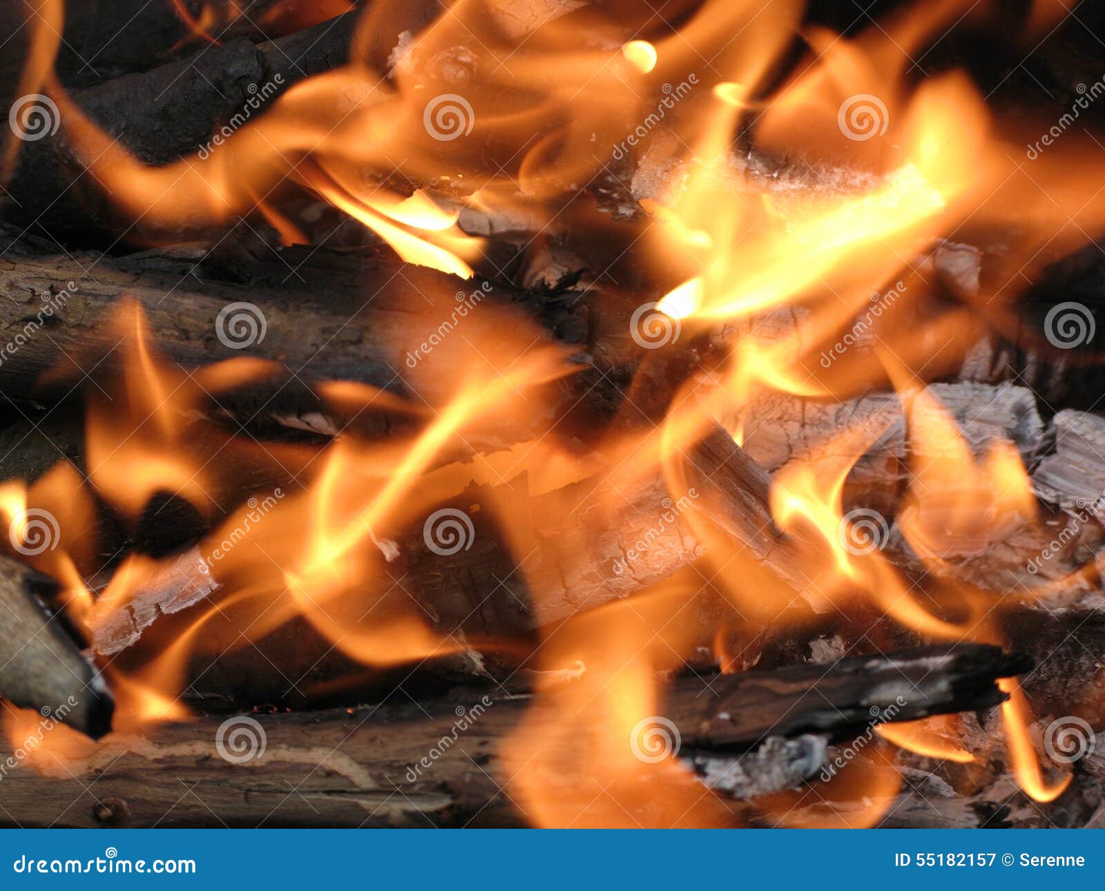 Burning Flame of the Campfire Stock Image - Image of barbecue, blur ...
