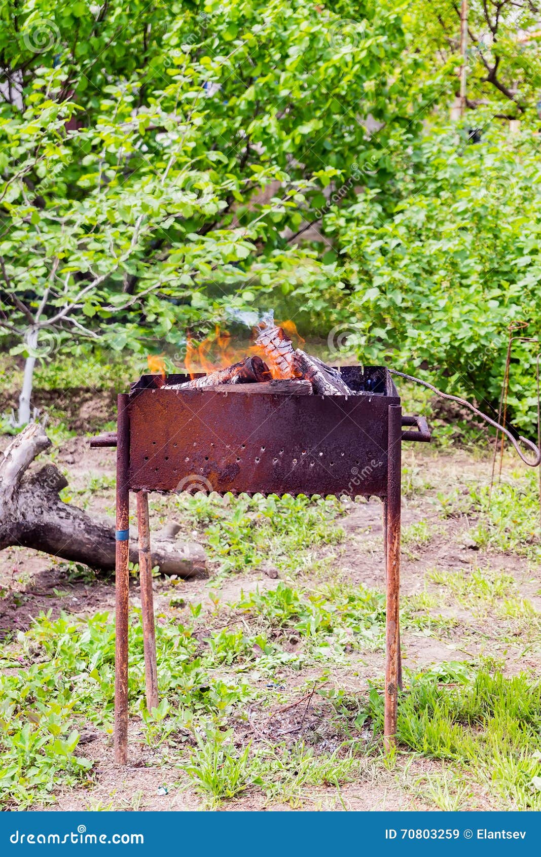 Burning Flame Fire in the Brazier on the Nature. Stock Image - Image of ...