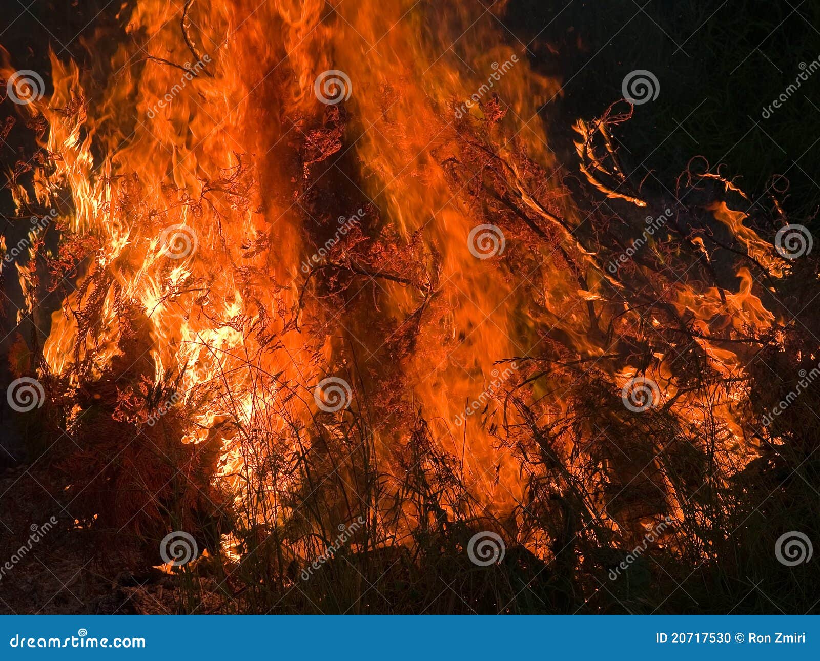 Burning flame fire inferno stock photo. Image of fire - 20717530