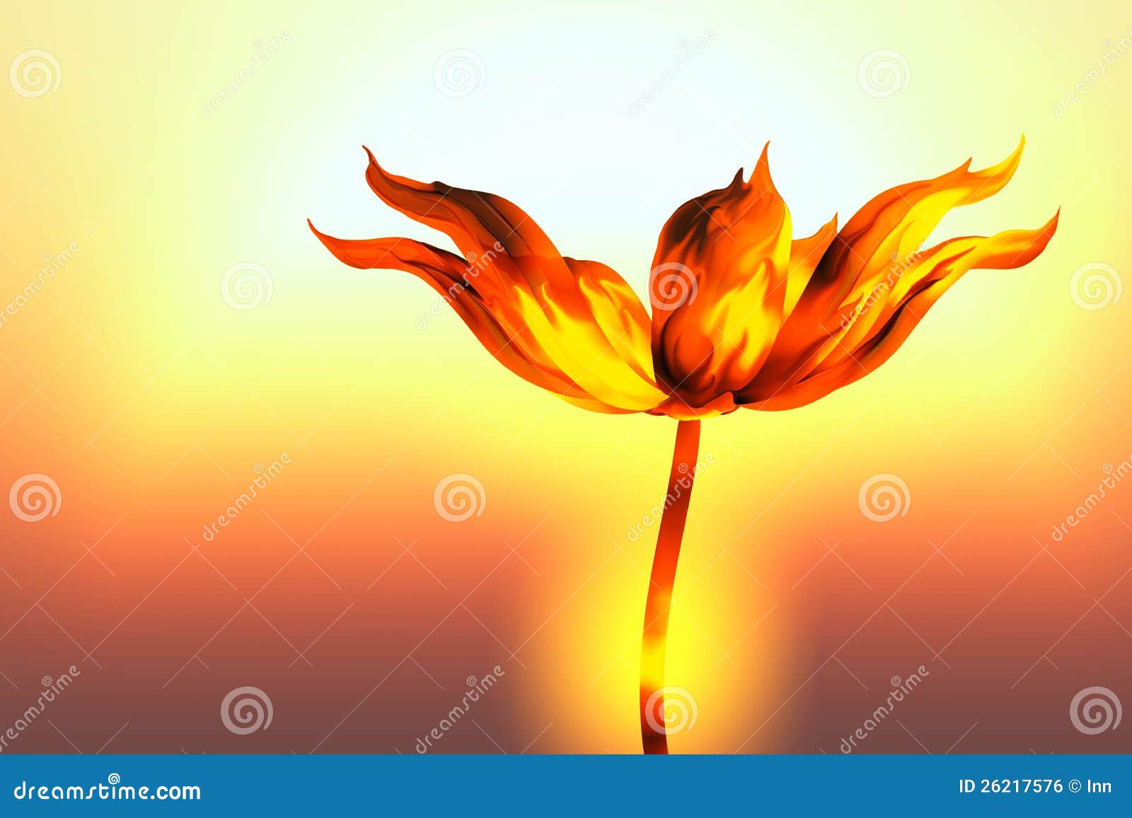 Burning flower stock illustration. Illustration of abstract - 26217576