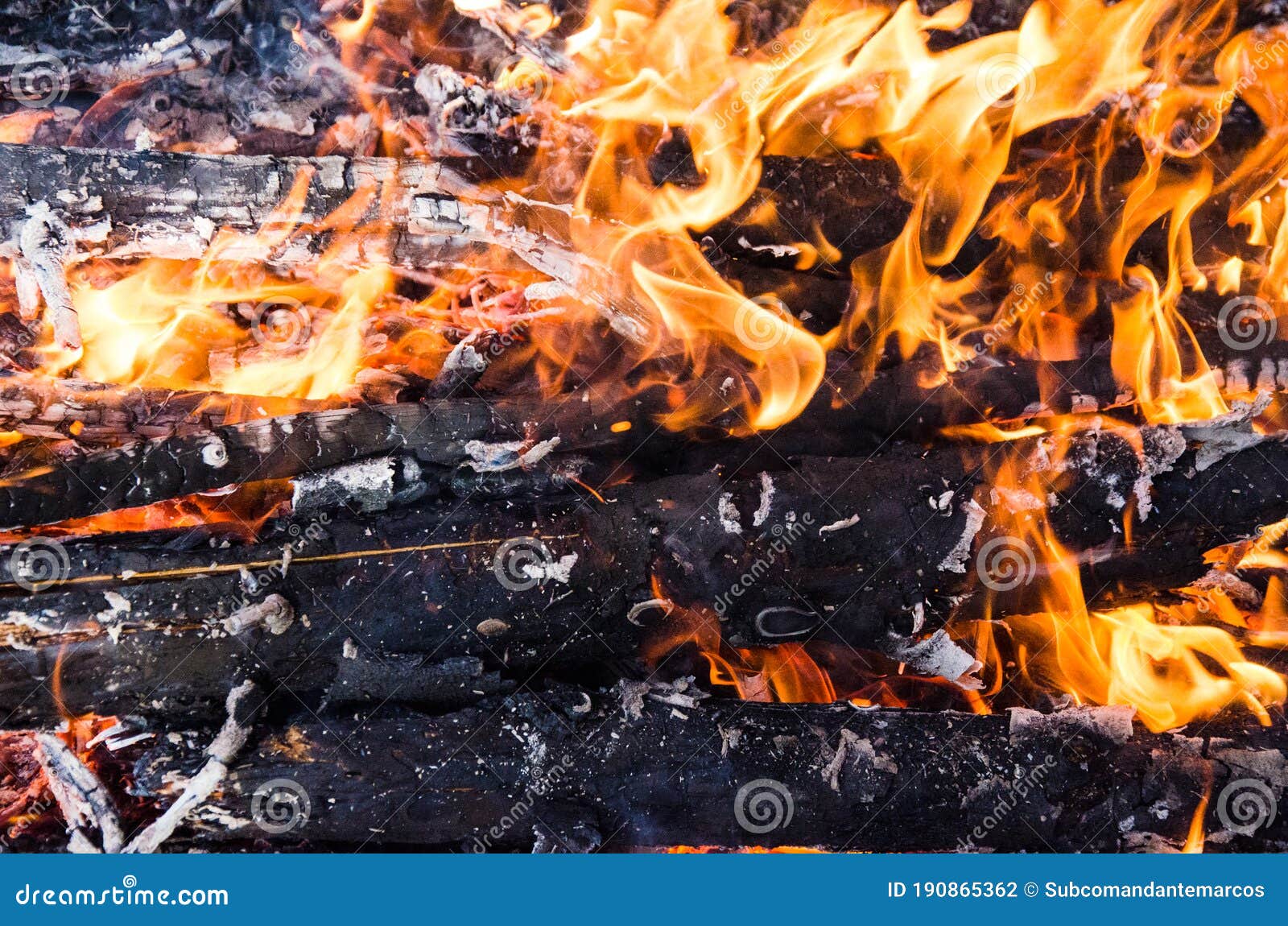 Burning Forest Campfire.texture and Background of Burning Coal Close Up ...