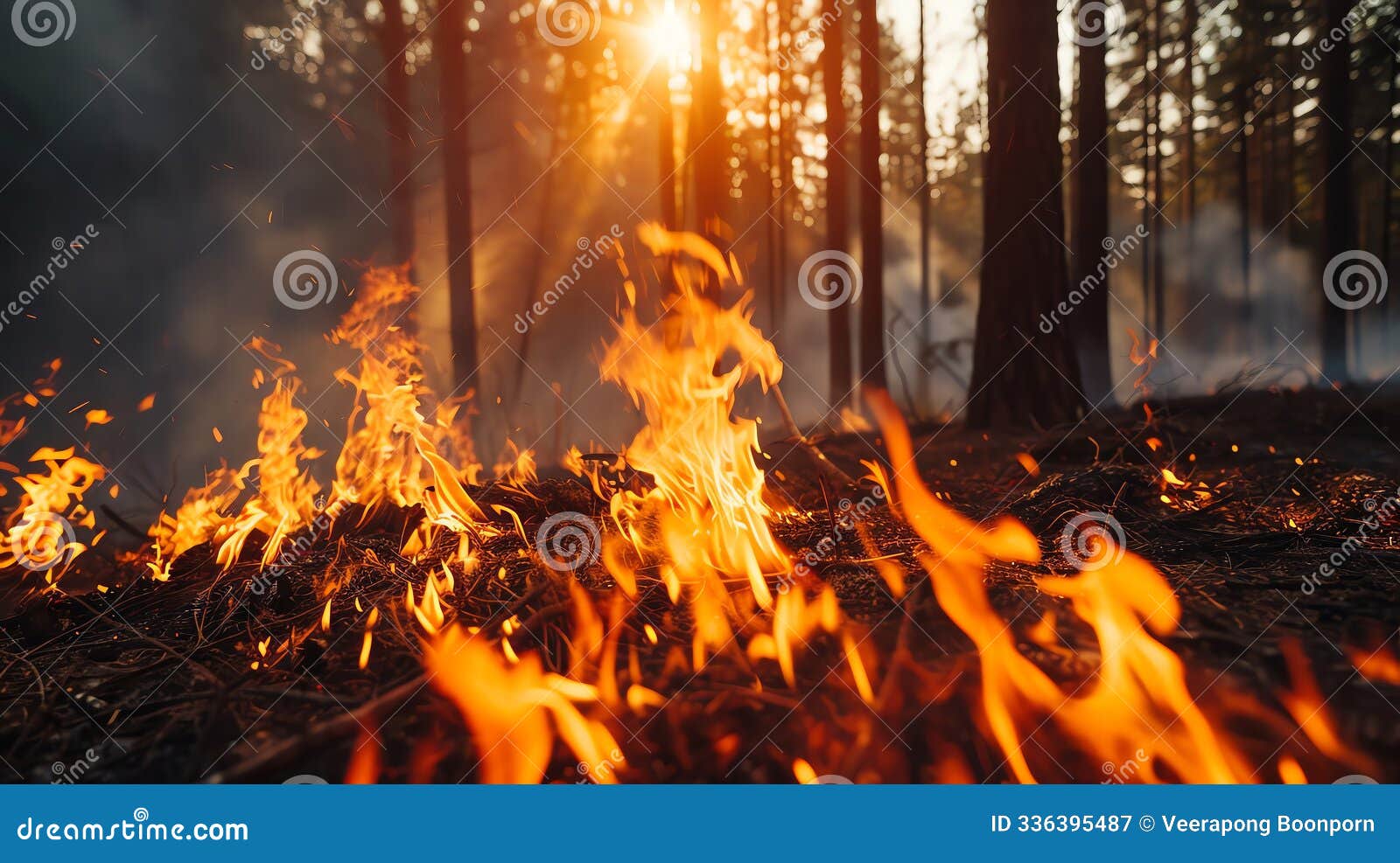 Burning Forest Fire, Emphasizing the Increasing Frequency of Wildfires ...