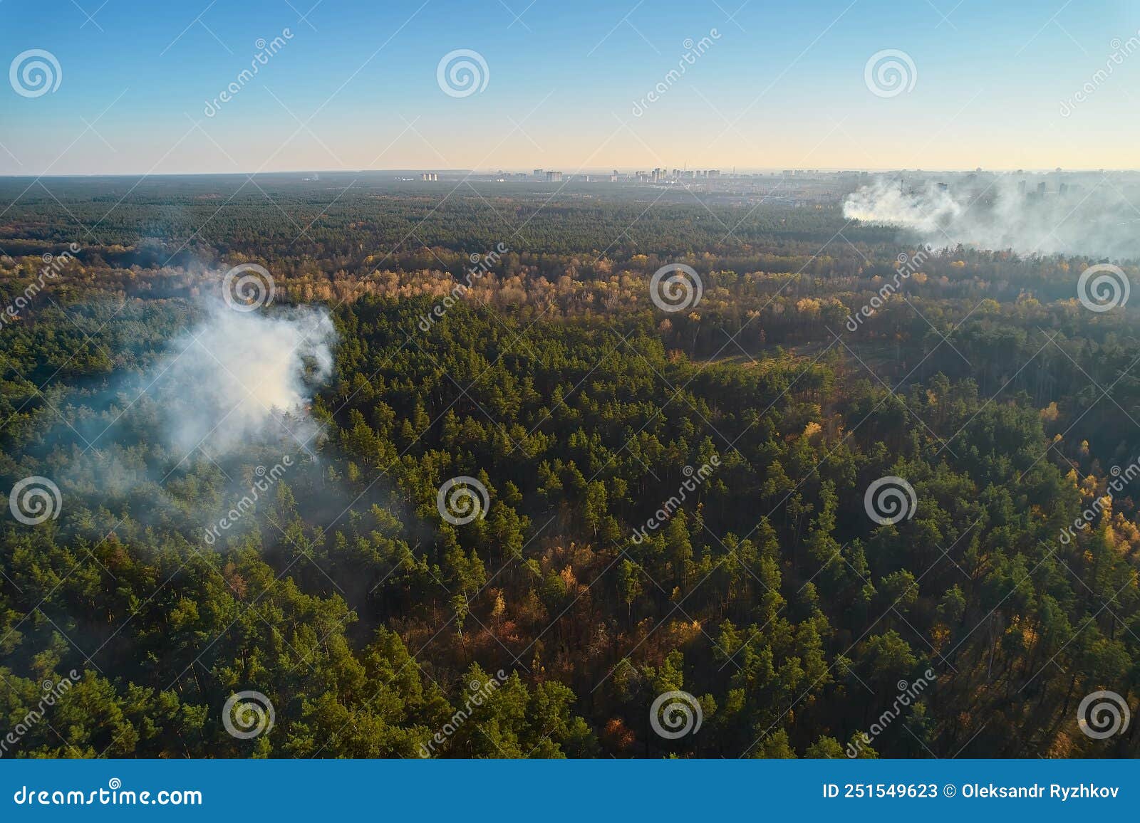 Burning Forest with Fire and Smoke. Aerial Top View from Drone Stock ...