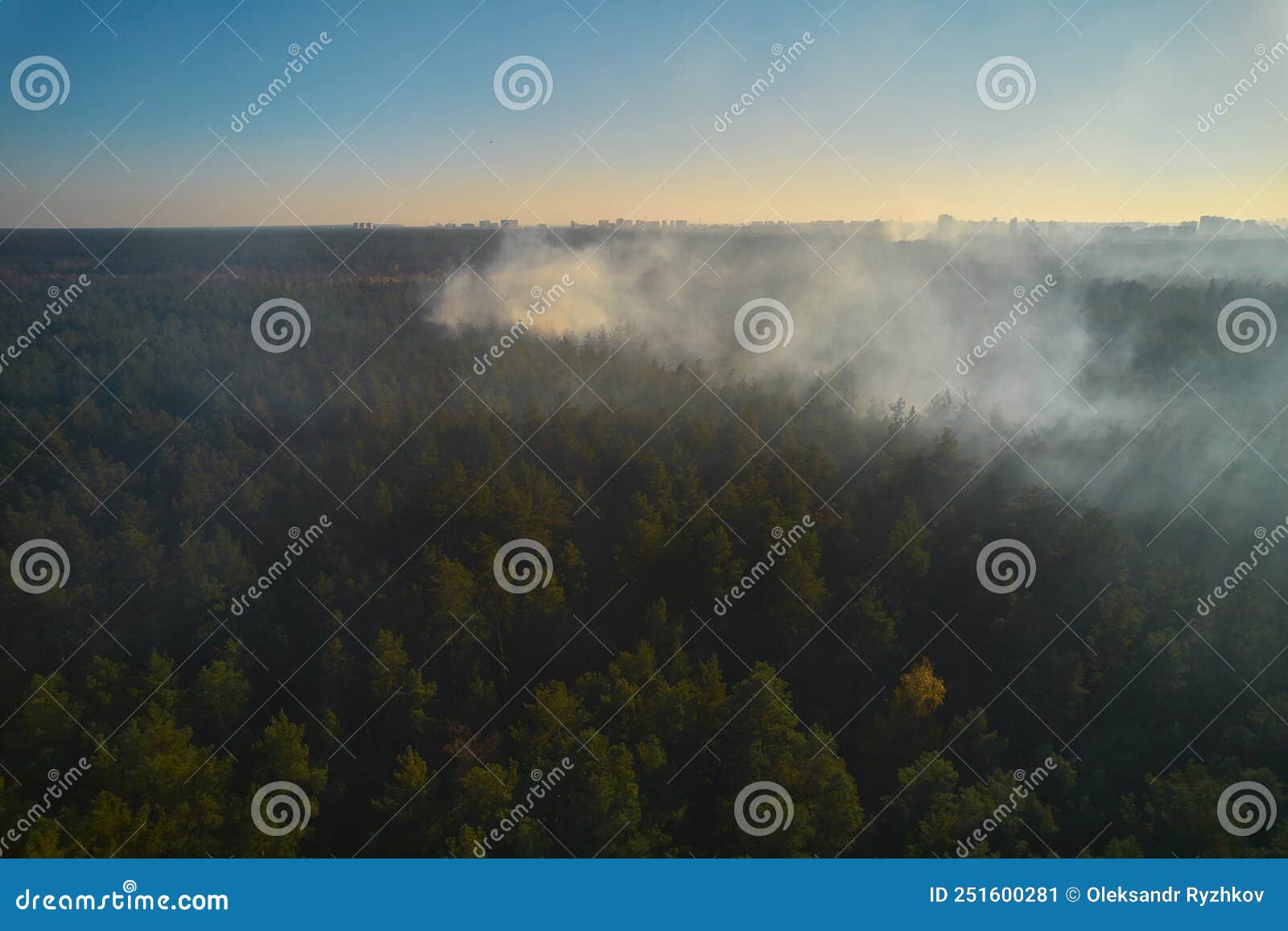 Burning Forest with Fire and Smoke. Aerial Top View from Drone Stock ...