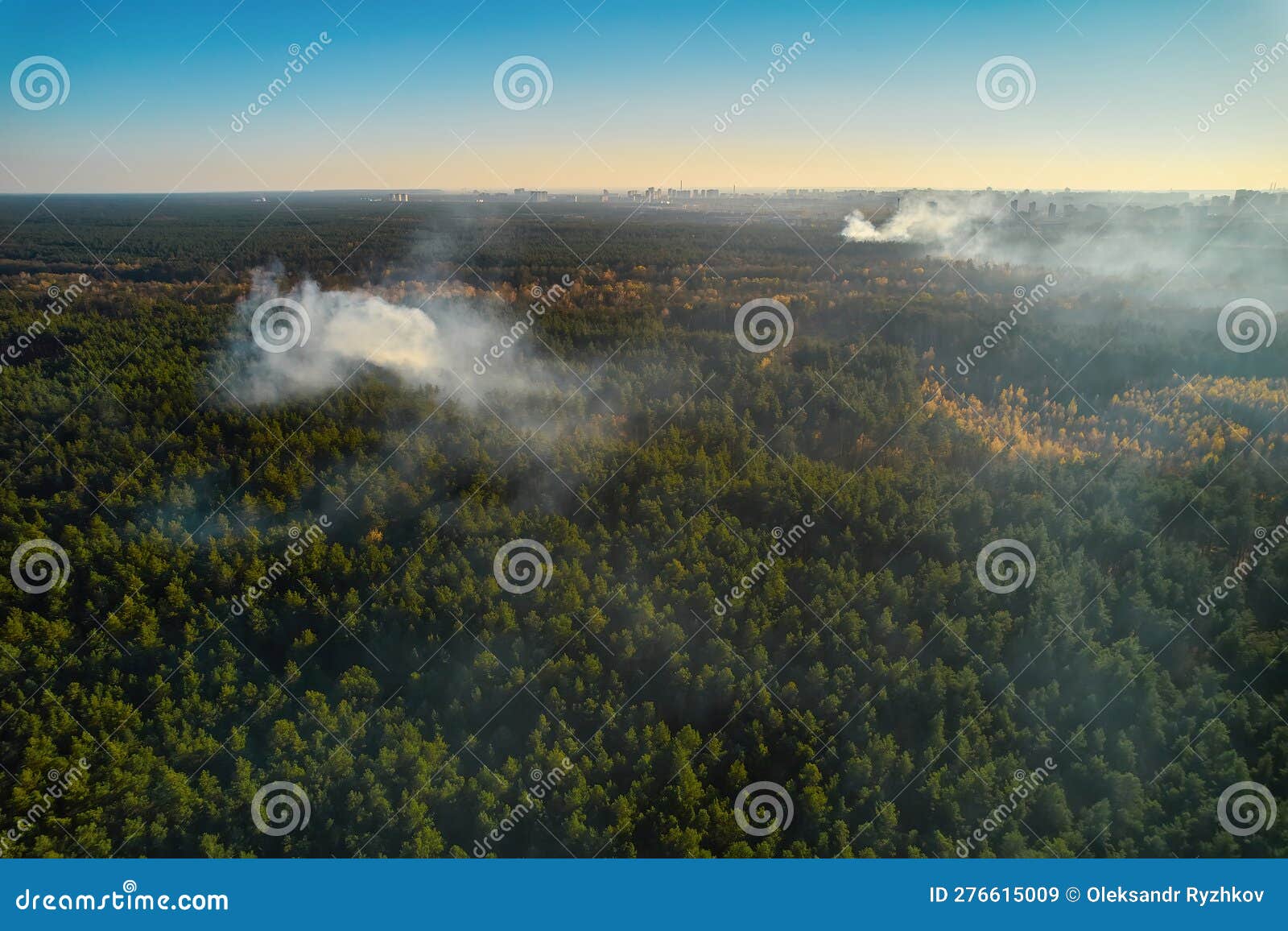 Burning Forest with Fire and Smoke. Aerial Top View from Drone Stock ...