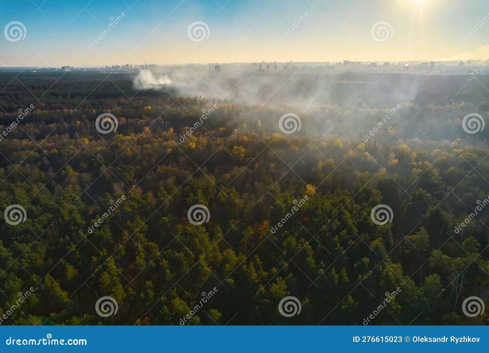 Burning Forest with Fire and Smoke. Aerial Top View from Drone Stock ...