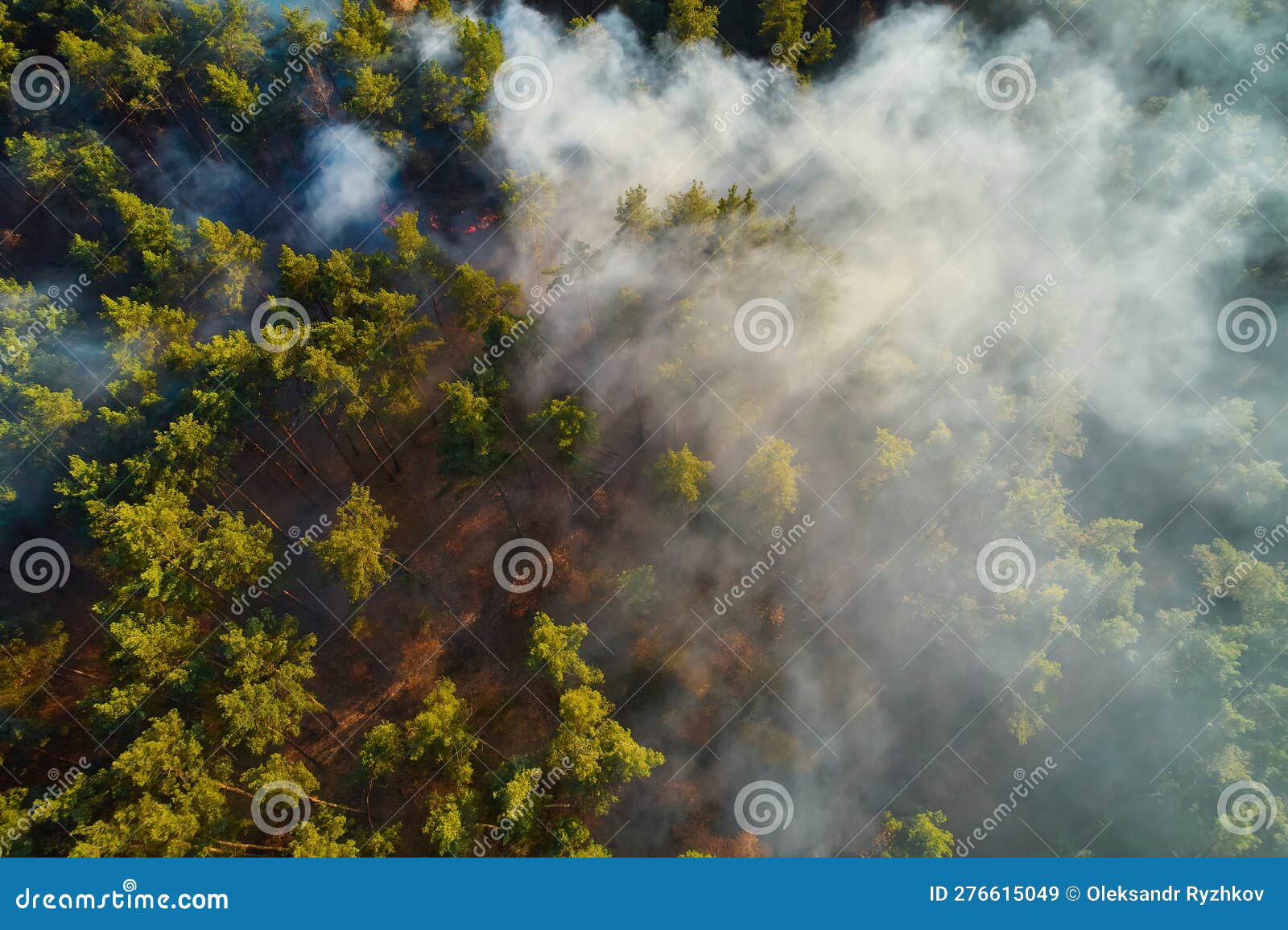 Burning Forest with Fire and Smoke. Aerial Top View from Drone Stock ...