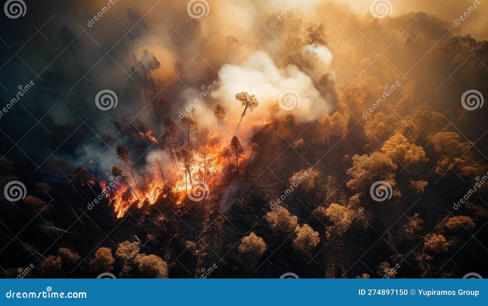Burning Forest Inferno, Destruction and Environmental Damage Generative ...
