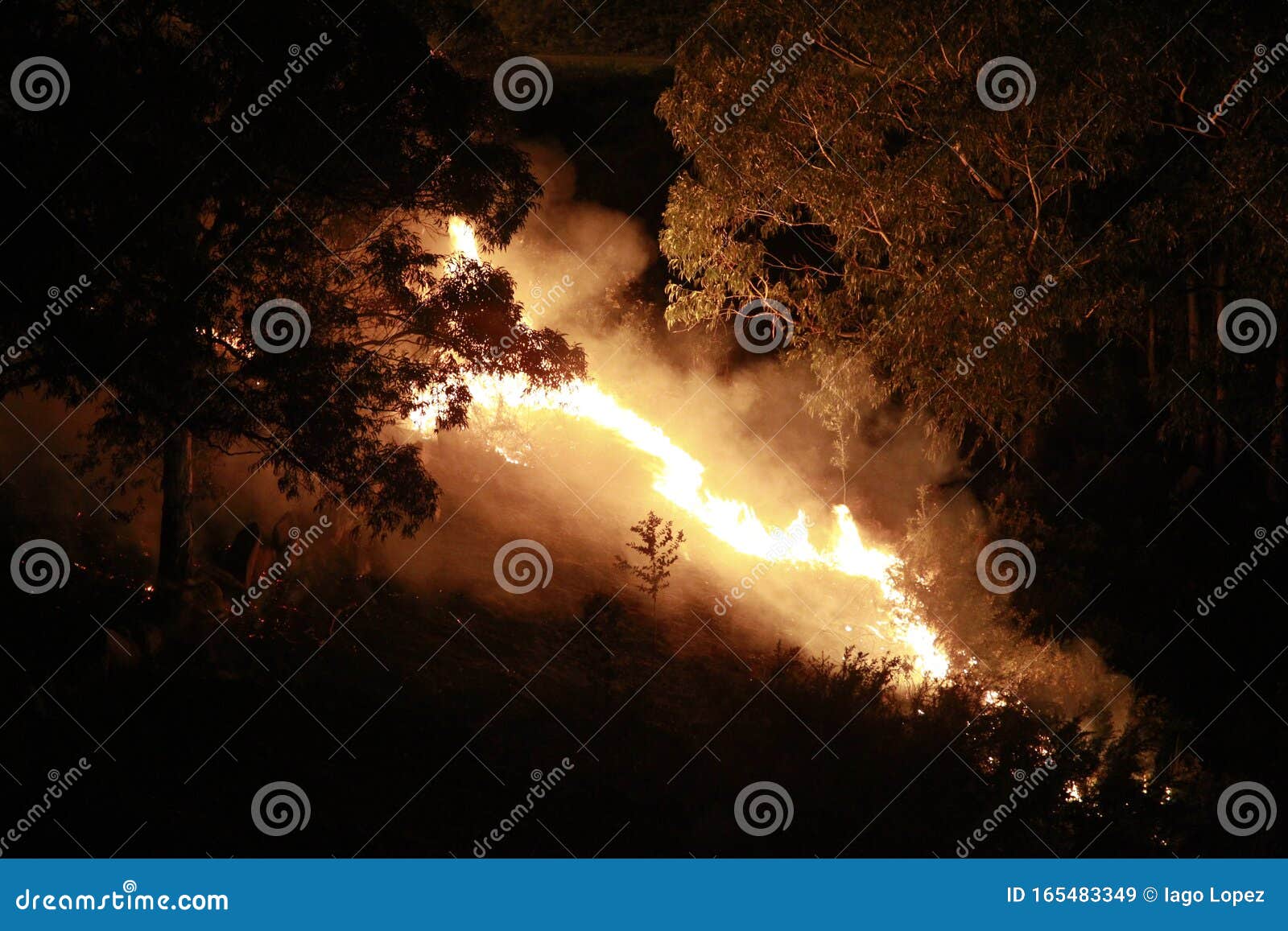 Forest on Fire at Night Climbing Up the Hillside Editorial Stock Image ...
