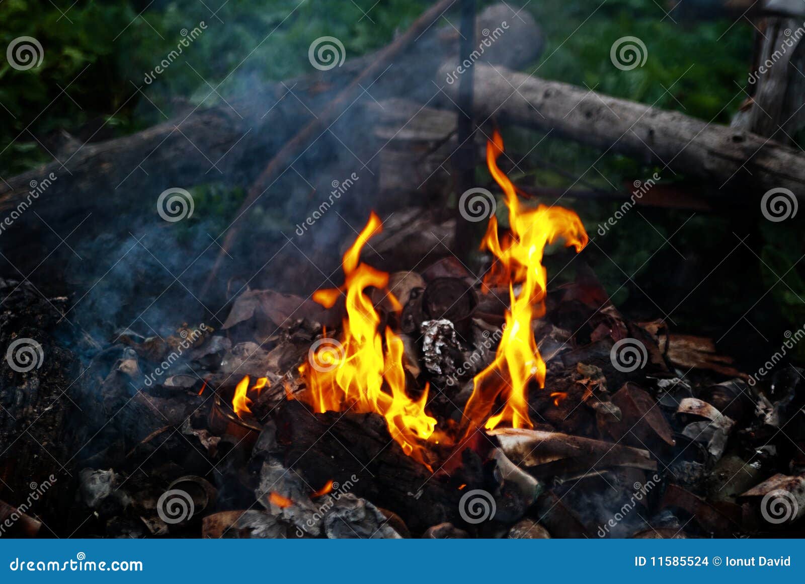 Burning garbage stock photo. Image of helping, national - 11585524