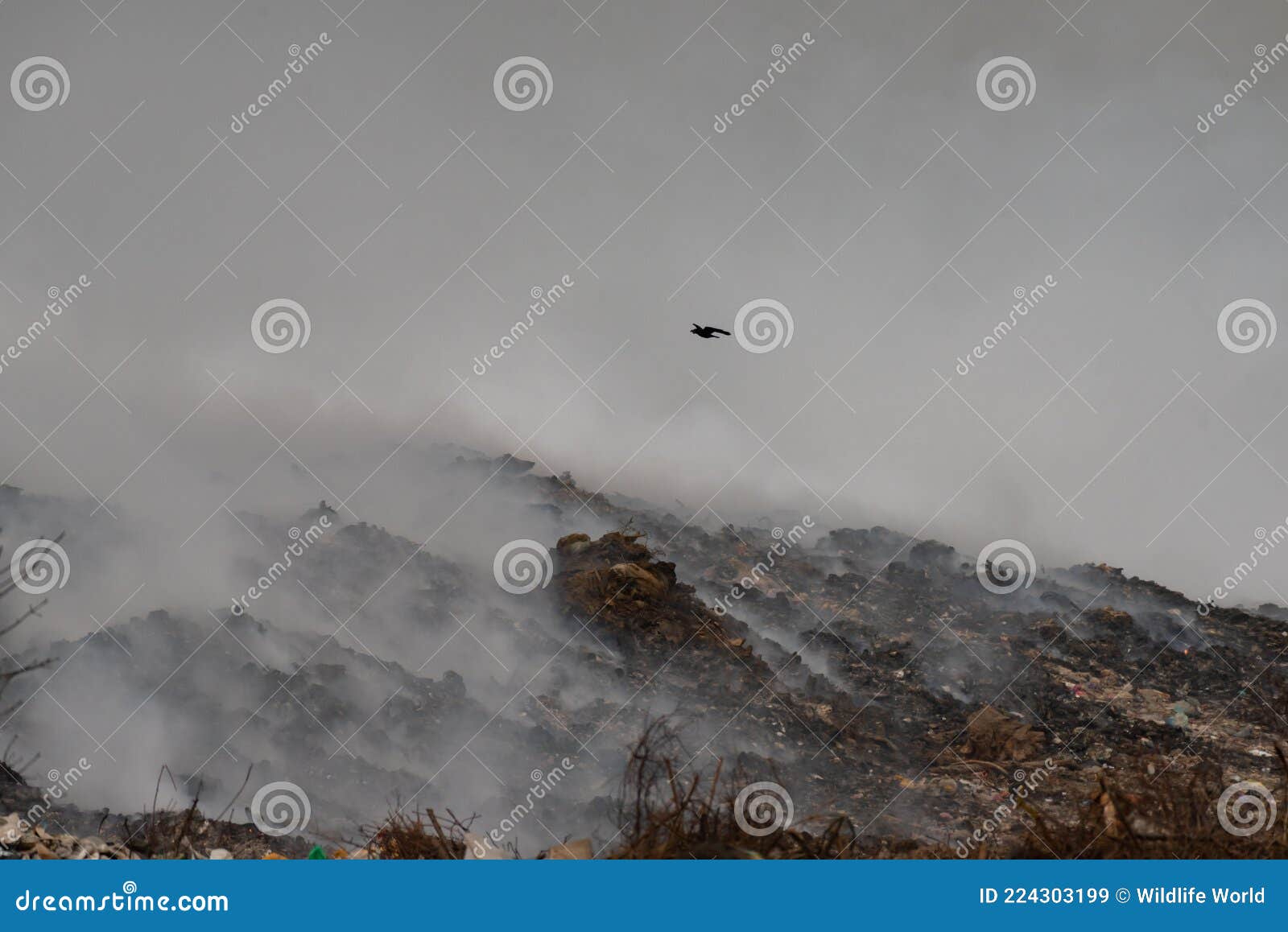 A Burning Garbage Dump. Smoke from a Burning Pile of Garbage Stock ...
