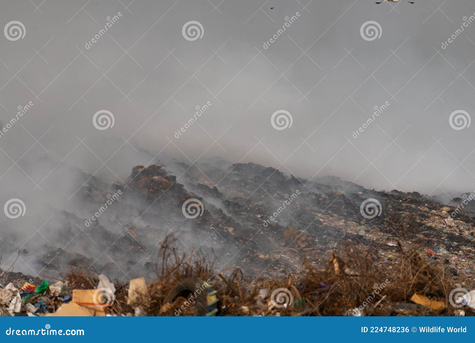 A Burning Garbage Dump. Smoke from a Burning Pile of Garbage Stock ...