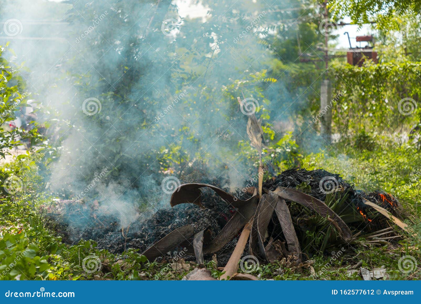 Burning Garbage. Grass and Leaves Burns in the Garden. Fire and Smoke ...