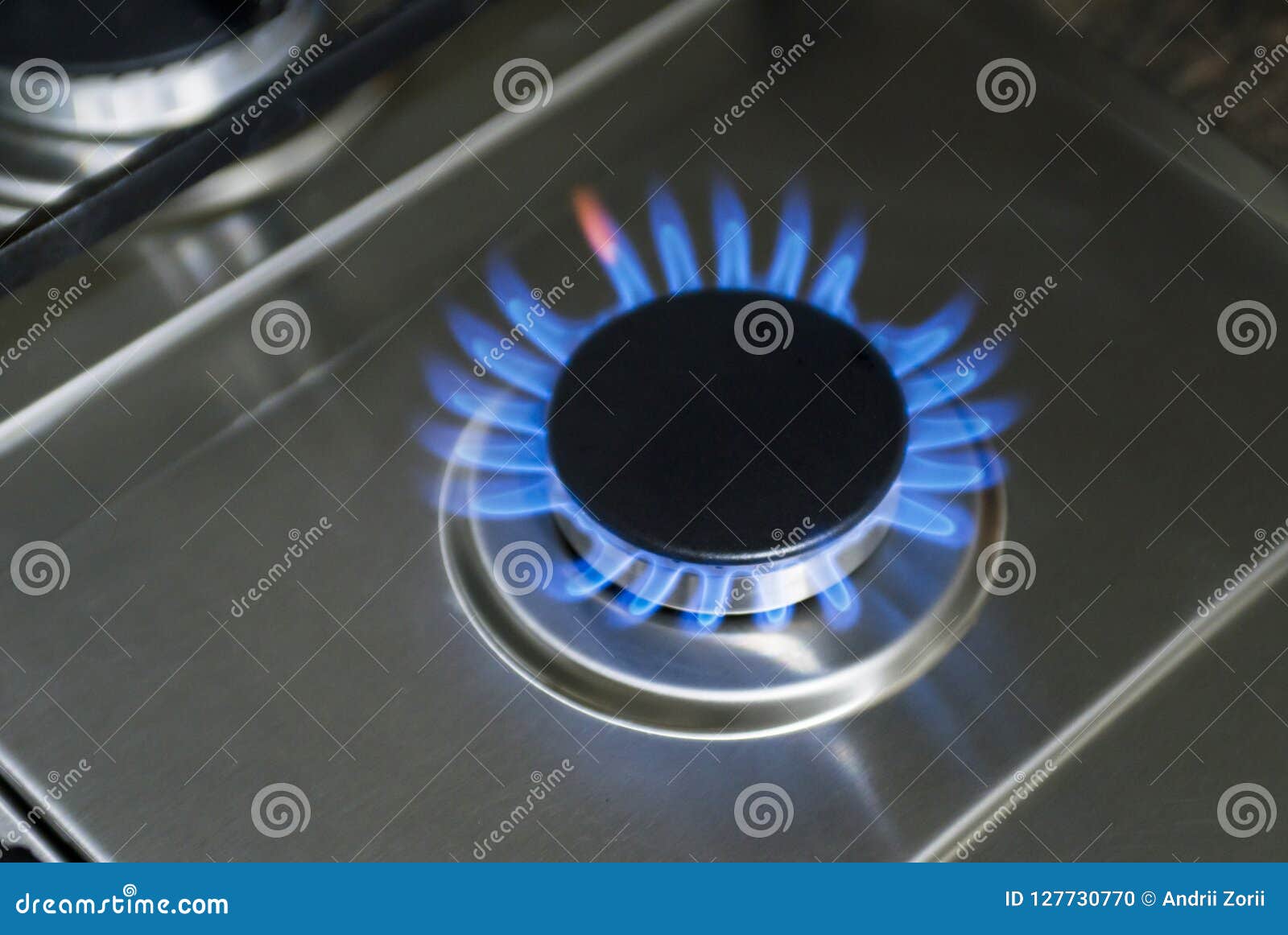 Burning Gas, Gas Stove Burner, Hob in the Kitchen. Blue Gas Stove in ...