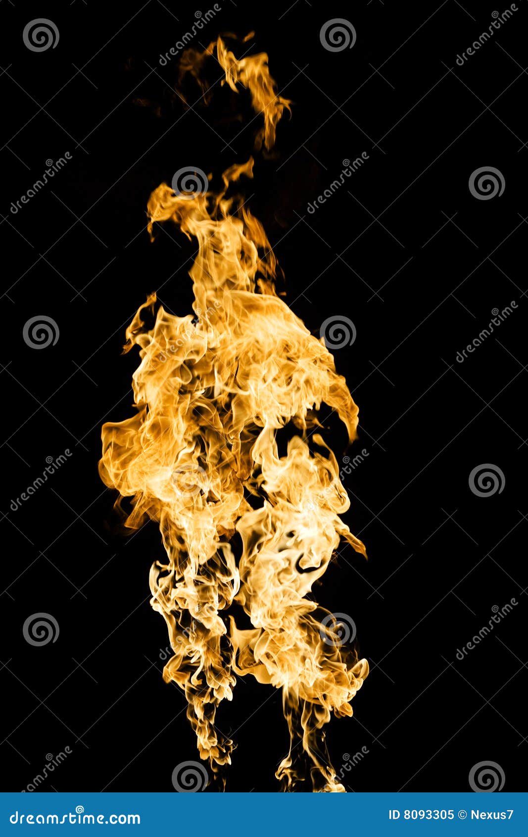 Burning golden fire stock image. Image of fire, black - 8093305