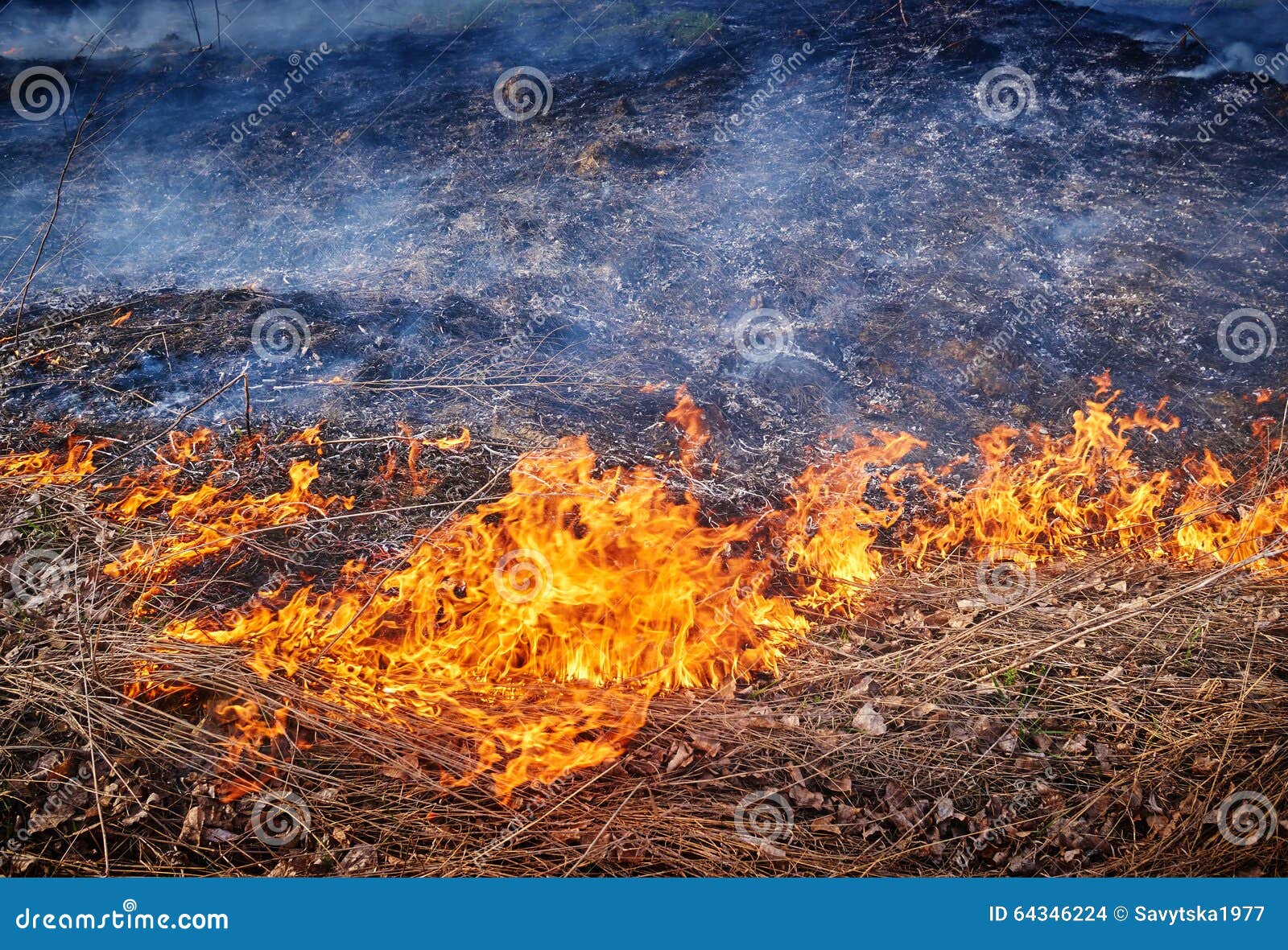 Burning Grass stock photo. Image of flammable, damage - 64346224