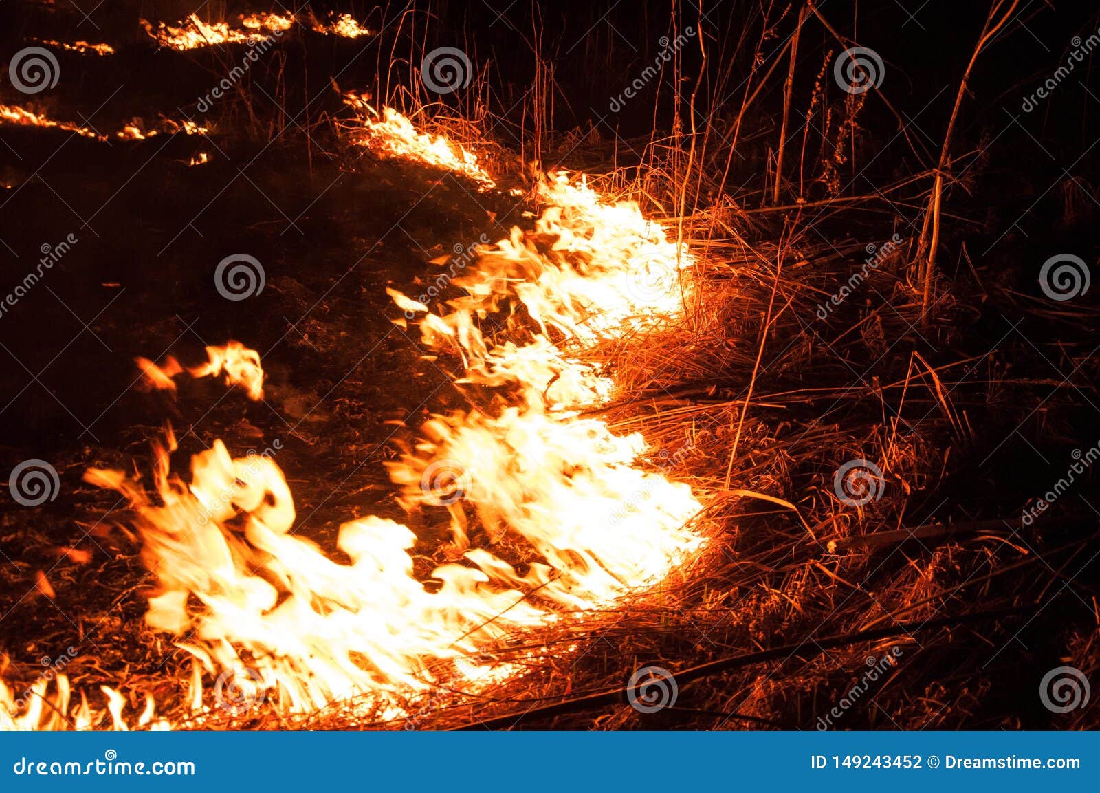 Brick wall. Red brick. stock photo. Image of element - 149243452