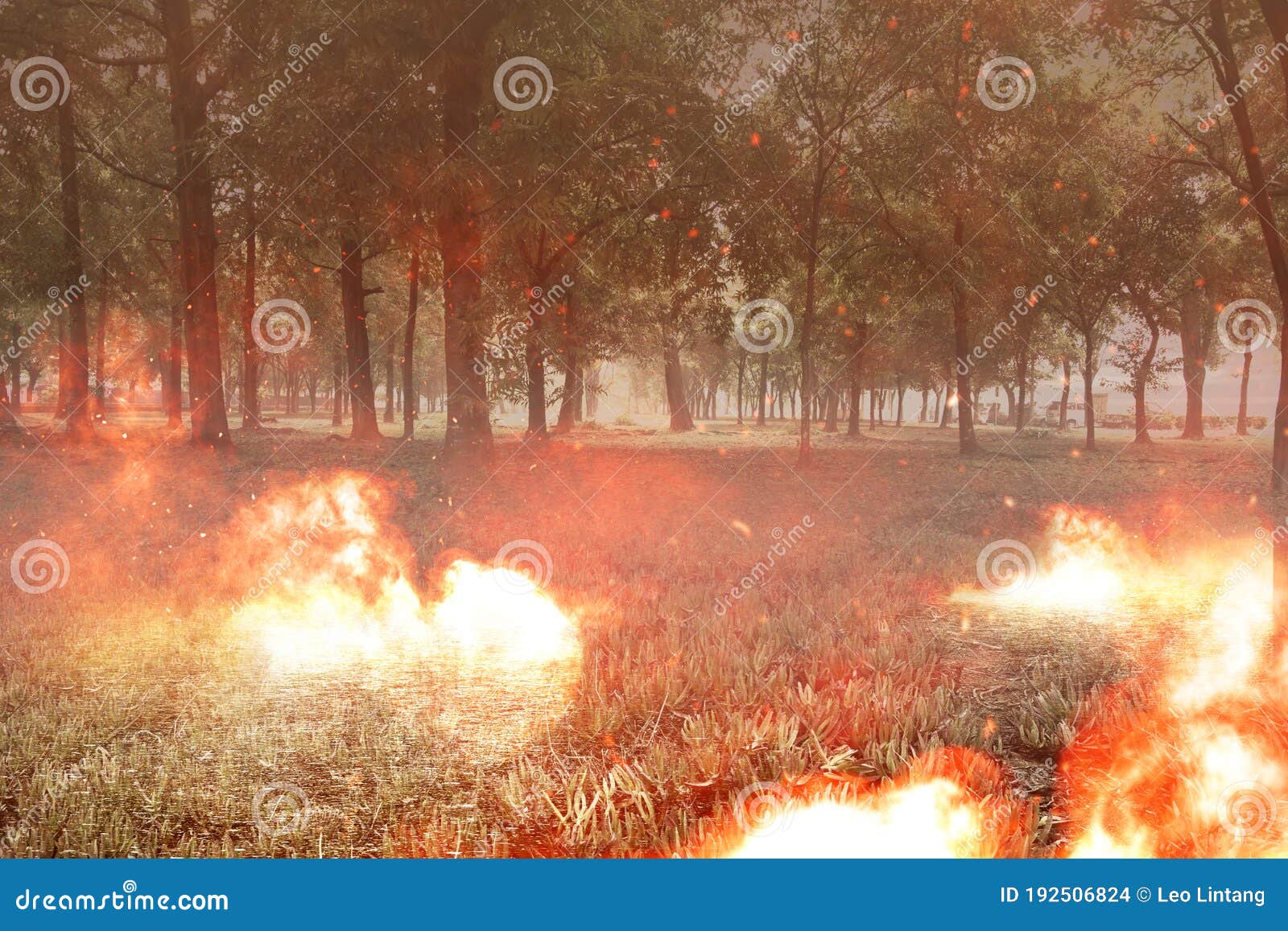 The Burning Ground in the Forest Stock Photo - Image of land, grass ...