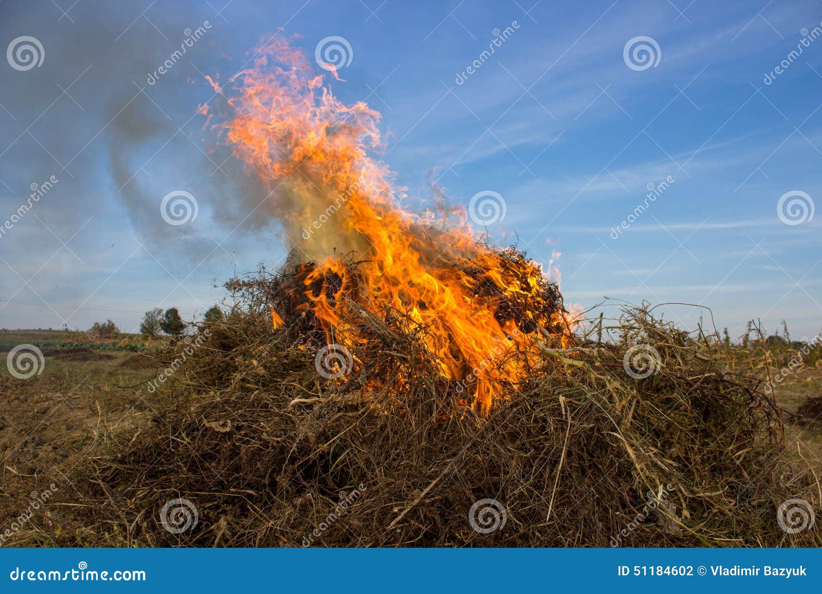Burning hay stock photo. Image of field, danger, weeds - 51184602