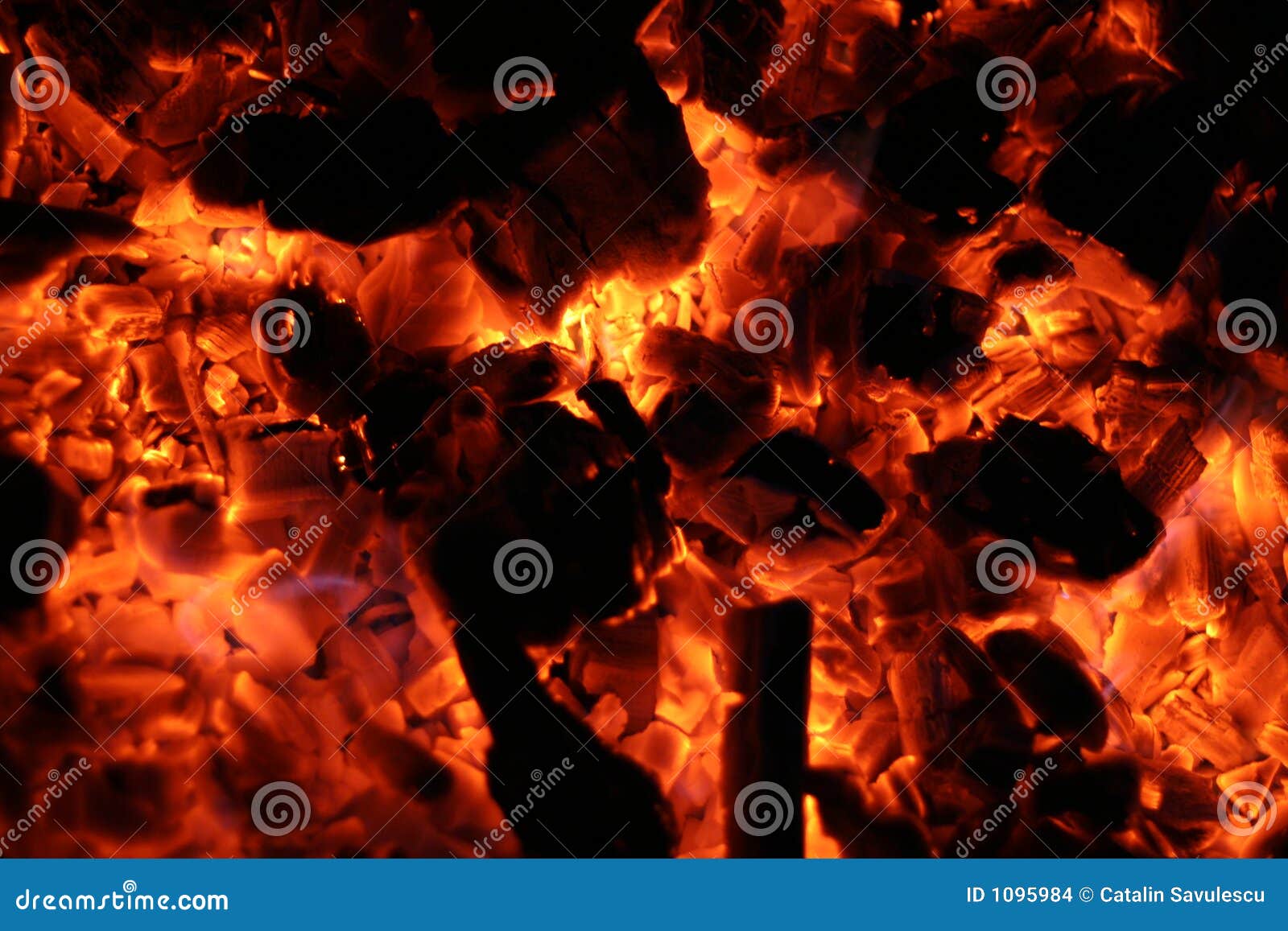 Burning hot stock photo. Image of ignite, coal, wood, energy - 1095984