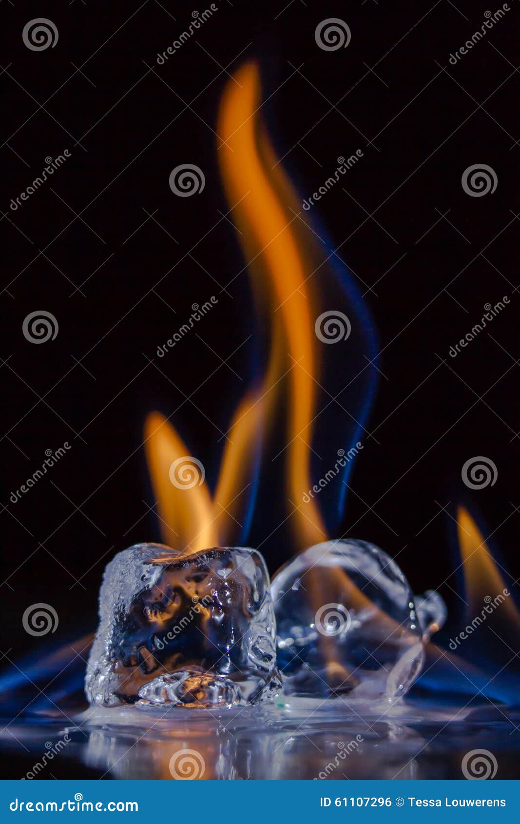 Fire and Ice: Burning Ice Cubes Stock Photo - Image of fire, flames ...