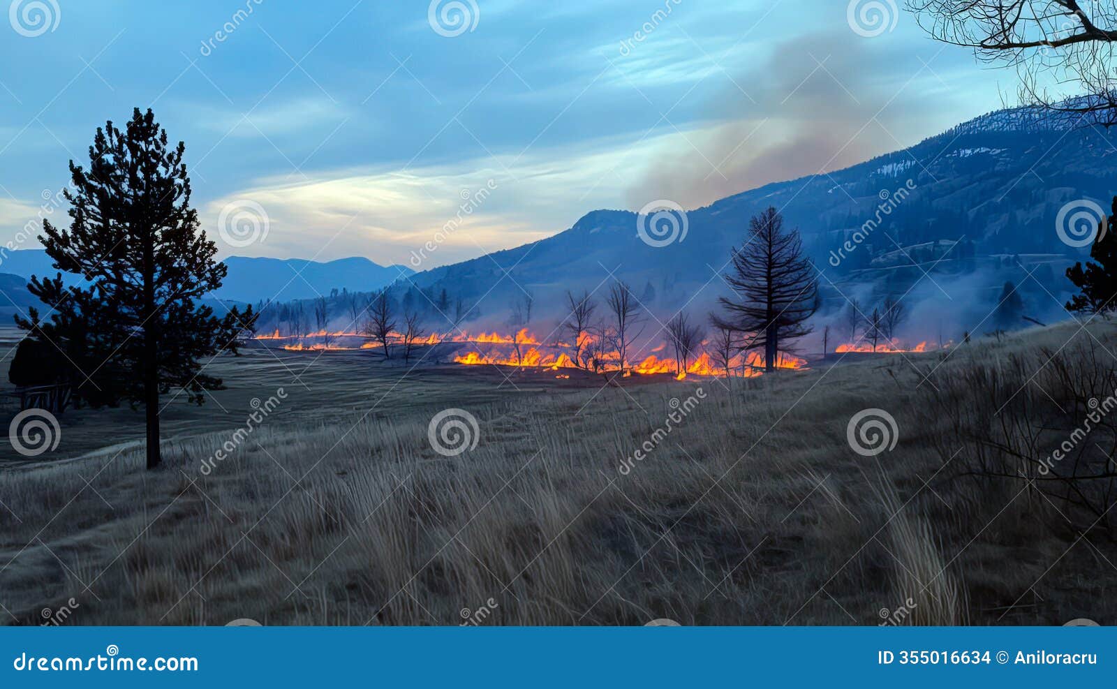 Burning Landscape with Trees and Hills Stock Photo - Image of heat ...