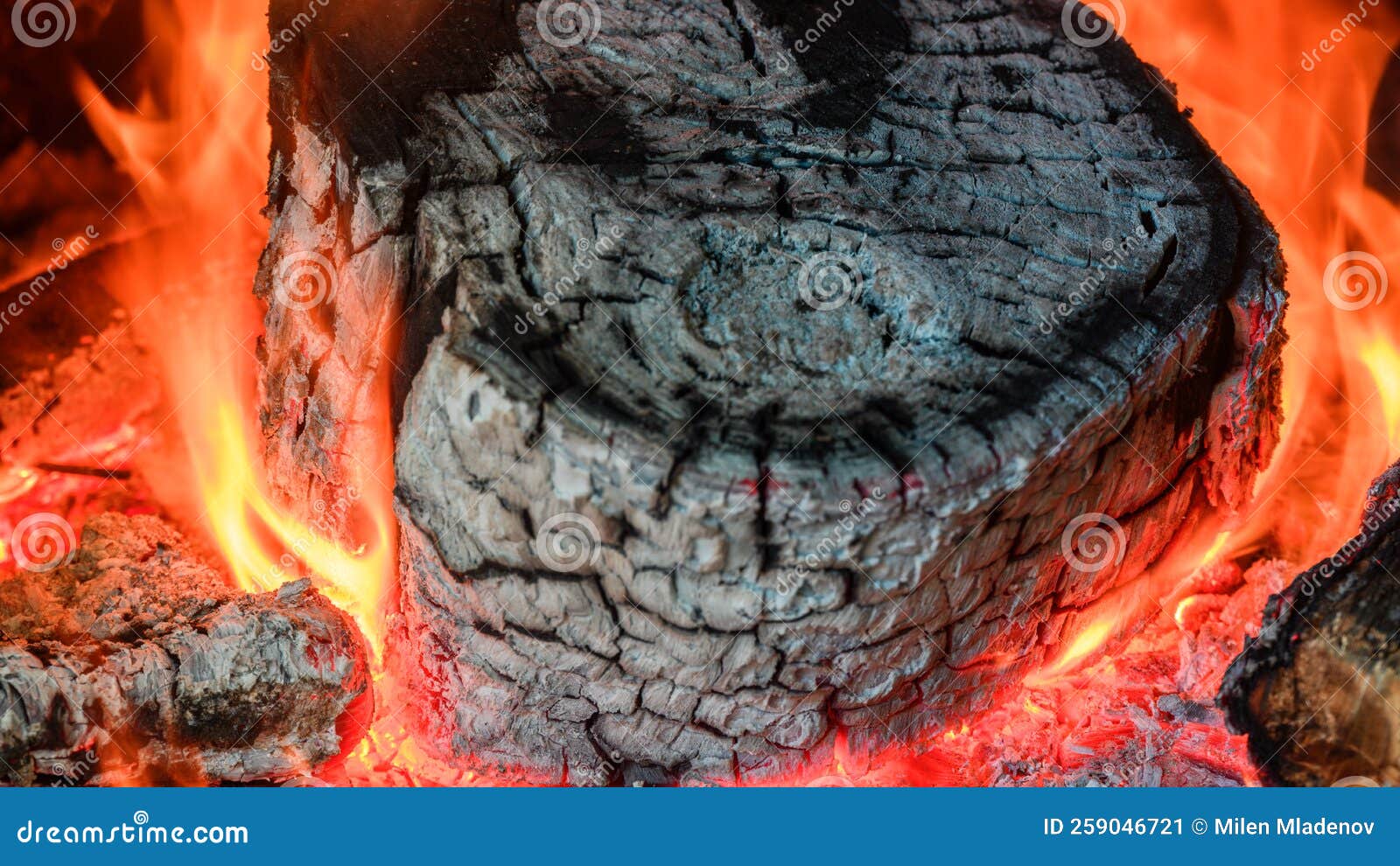 Burning large log stock image. Image of large, stub - 259046721