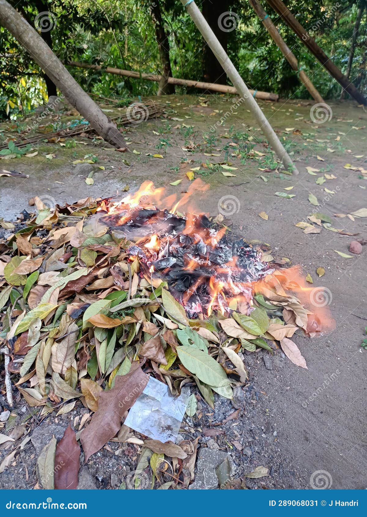Burning Leaf Litter in the Backyard in the Afternoon Stock Image ...
