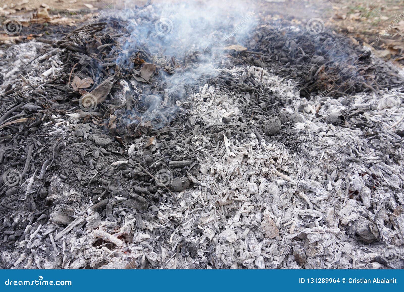 Burning Leafs, Ash Backgrounds and Flames Stock Photo - Image of ...