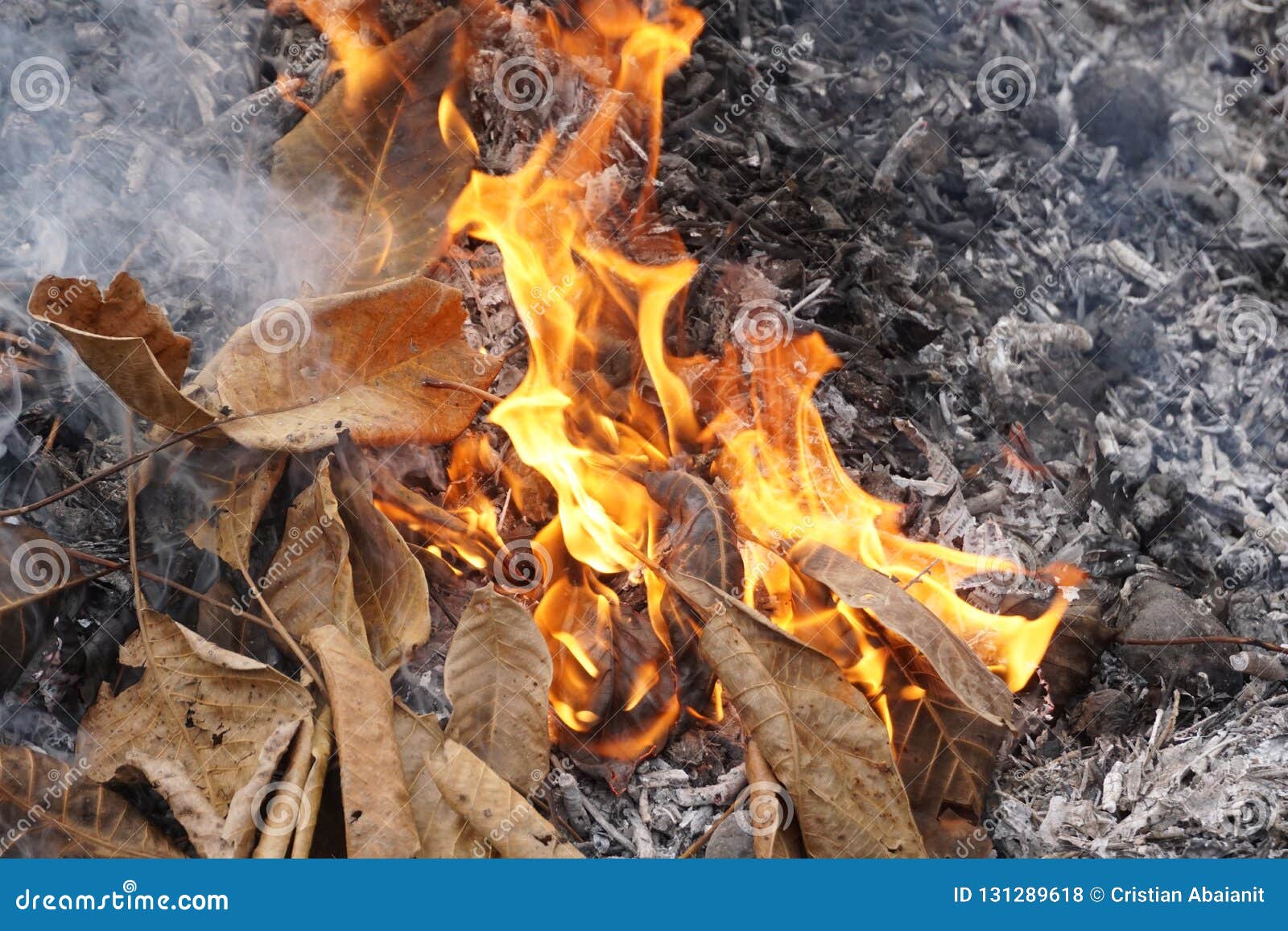 Burning leafs in autumn stock photo. Image of bonfire - 131289618
