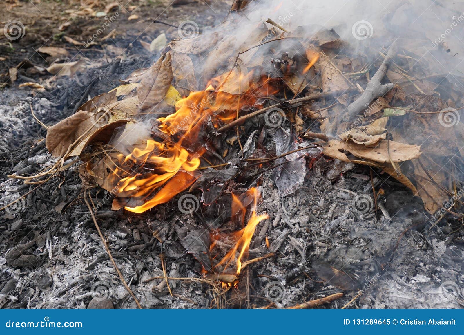 Burning leafs in autumn stock image. Image of fall, leaf - 131289645